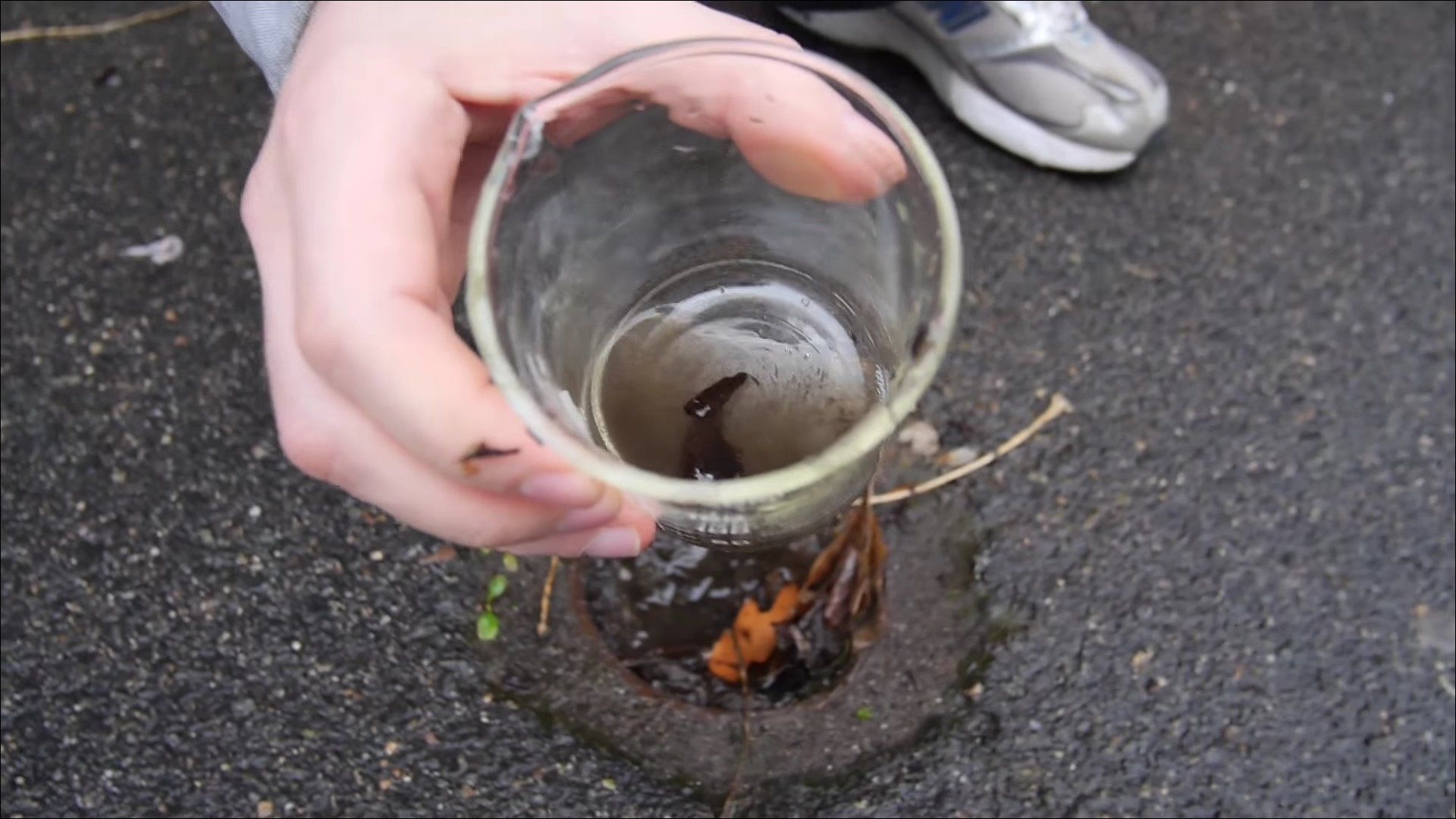 DIY Microscope Using Smartphone : 5 Steps (with Pictures) - Instructables