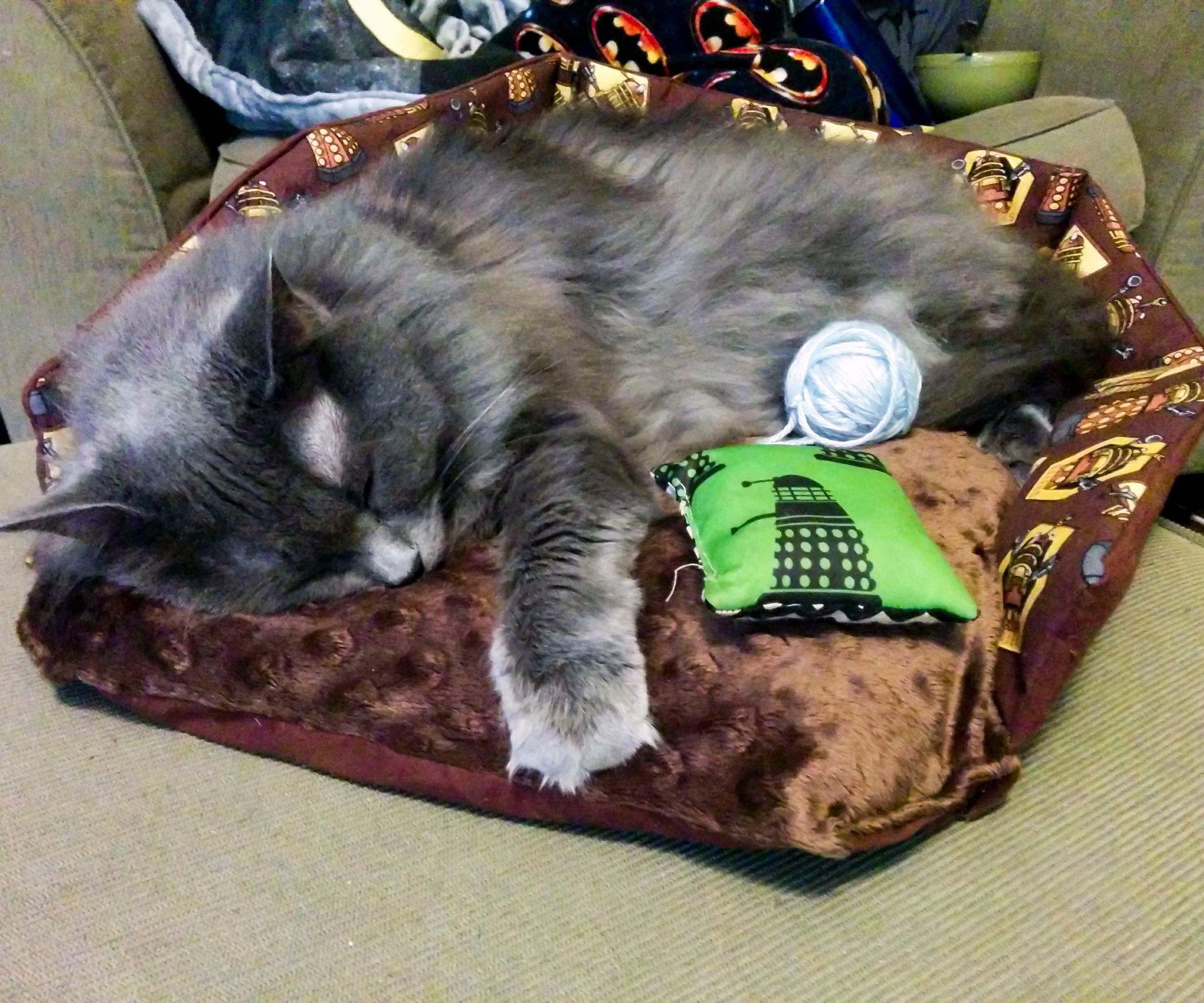 Pillow for Pets : 8 Steps (with Pictures) - Instructables