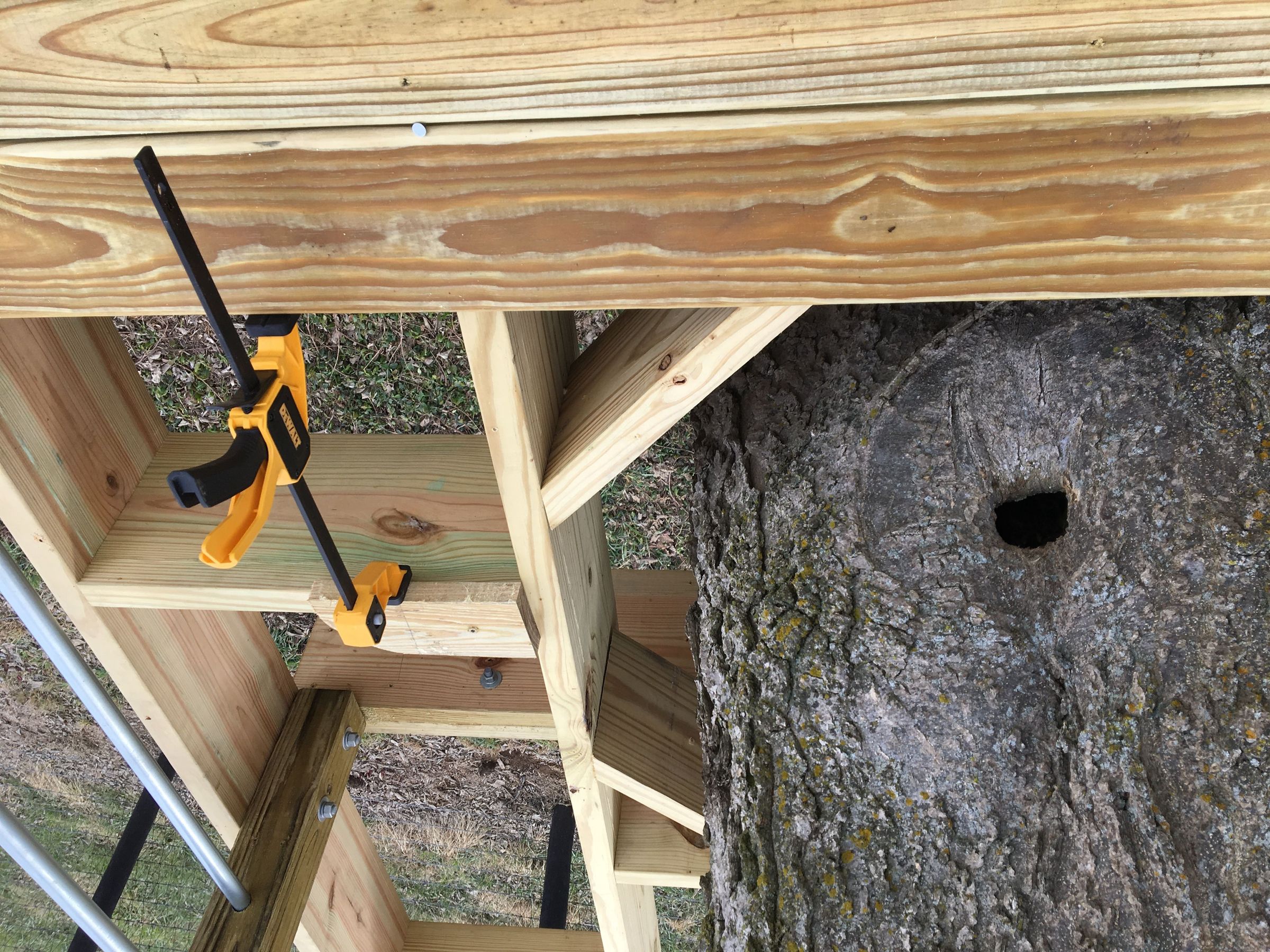 Epic Treehouse : 13 Steps (with Pictures) - Instructables