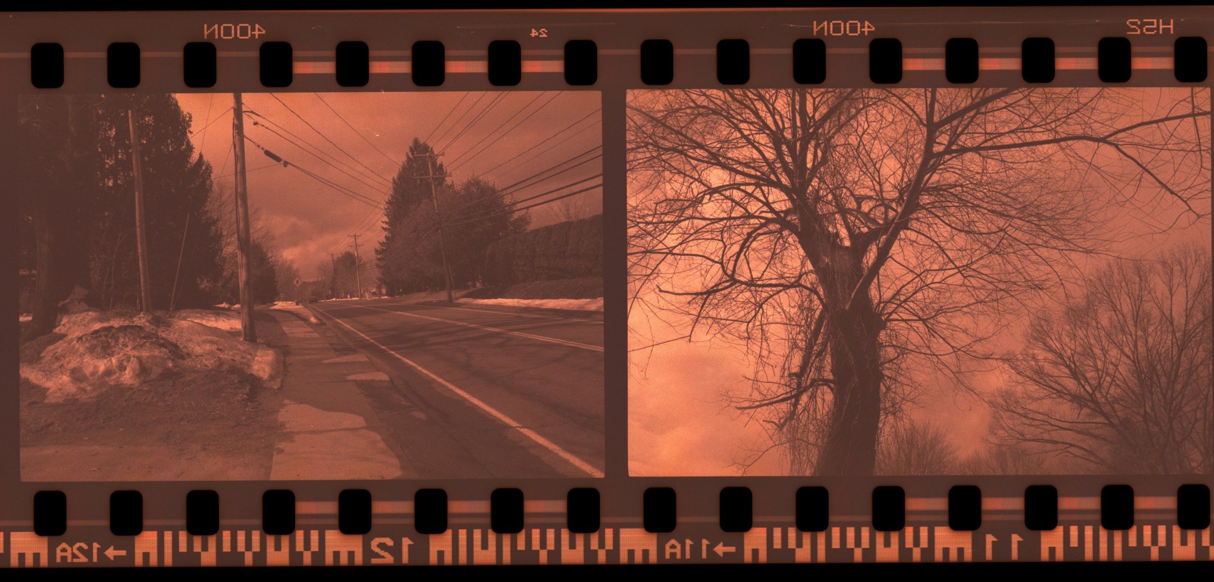 Cross Processing Film (an Analog [ Film ] Photography Guide) : 4 Steps ...