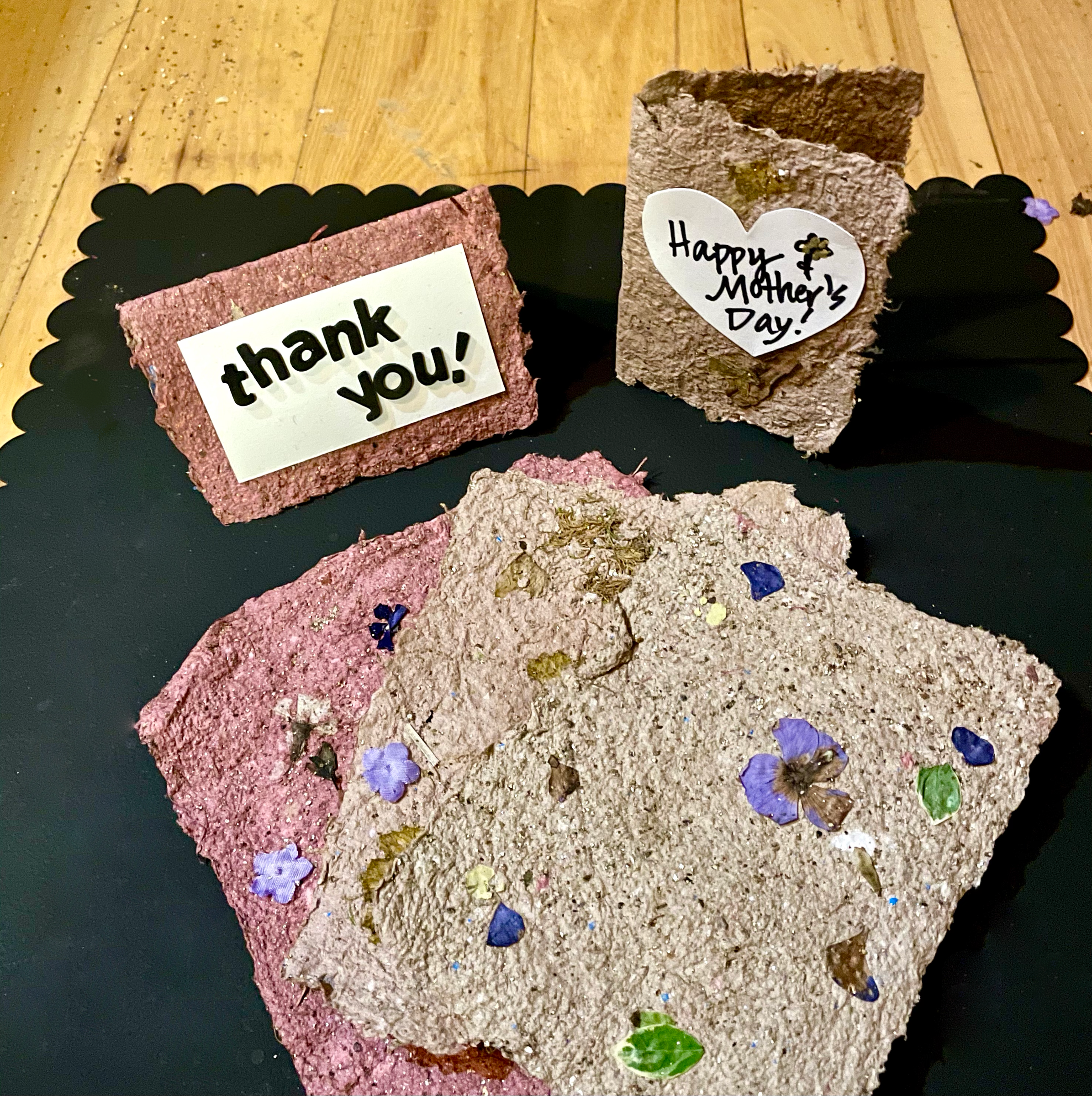 Seed Paper From Used Cardboard Boxes : 8 Steps (with Pictures ...