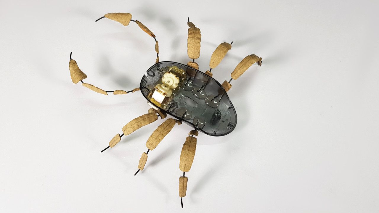 How to Make Remote Control Scorpion : 10 Steps (with Pictures ...