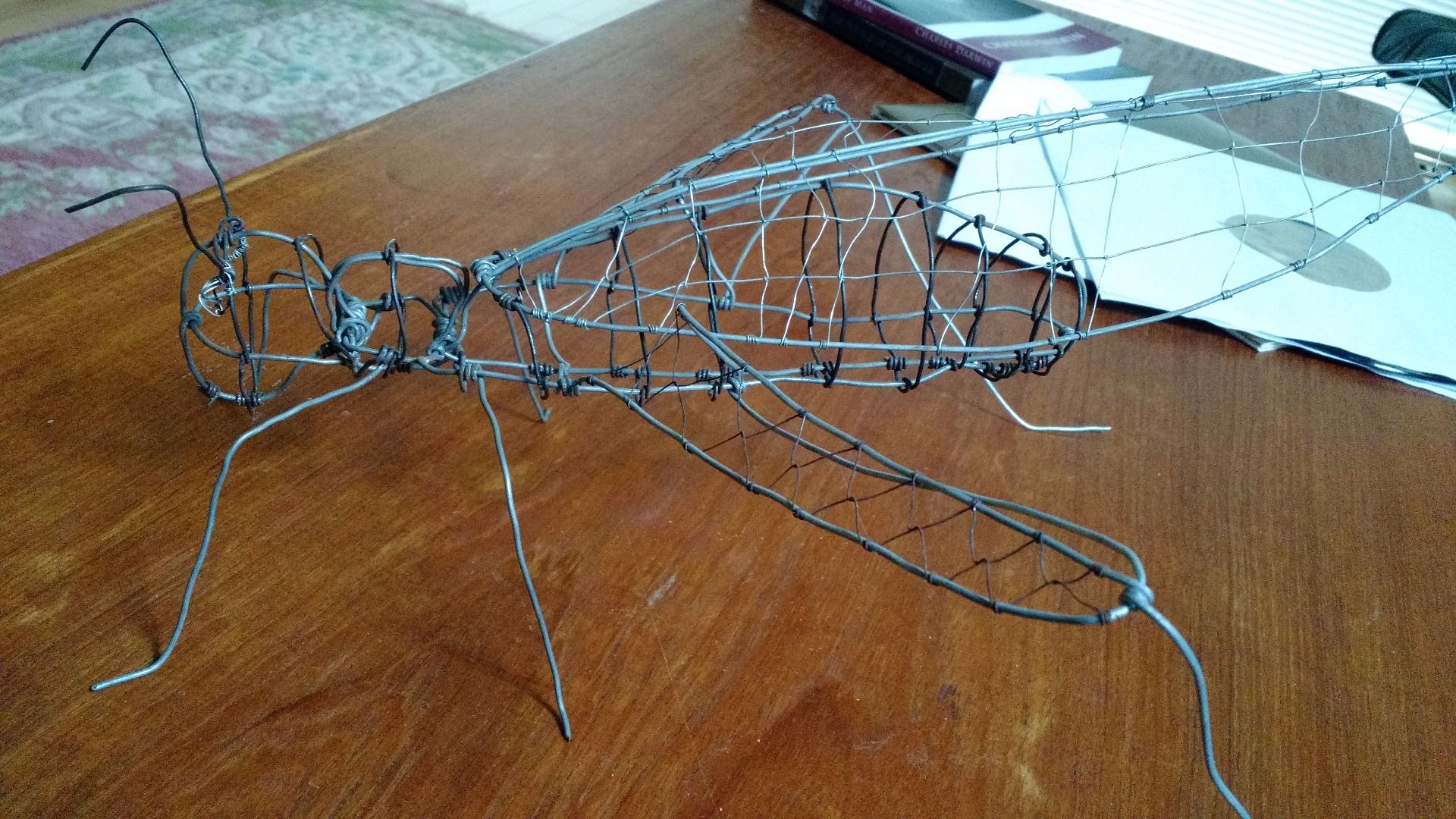 Build a Realistic Insect From Wire : 5 Steps (with Pictures ...