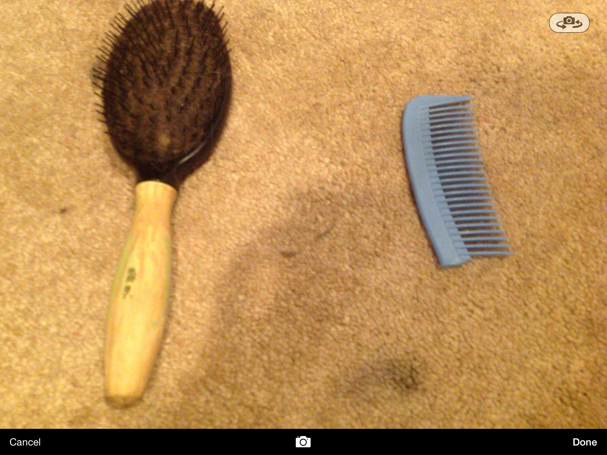 How to Backcomb/Tease Hair : 3 Steps - Instructables