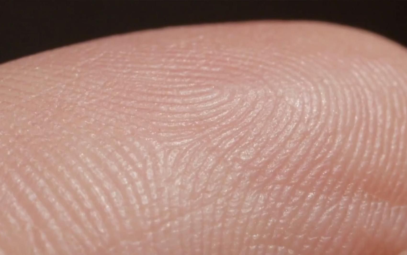 How to Lift Fingerprints: Cyanoacrylate (Super Glue) Fuming : 6 Steps ...