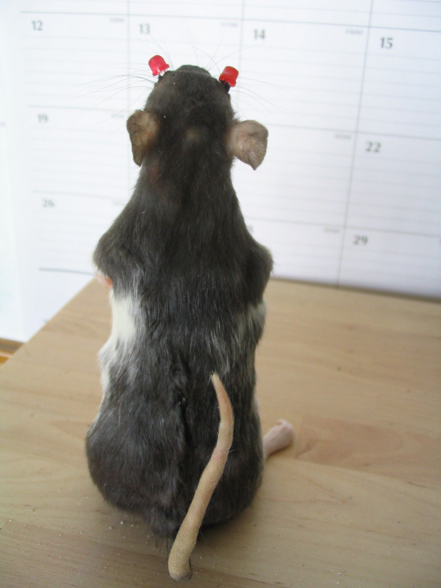 Battery Access Hatch for LED Throwie Rat : 4 Steps - Instructables