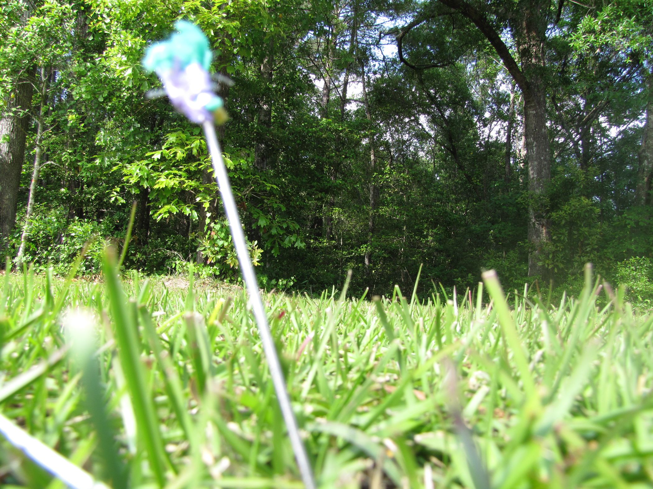 Making a Blow Dart : 4 Steps - Instructables