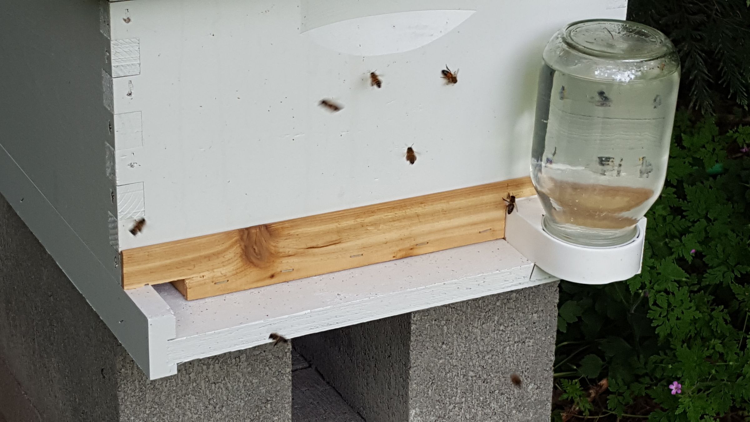 Bee Hive Door : 3 Steps - Instructables