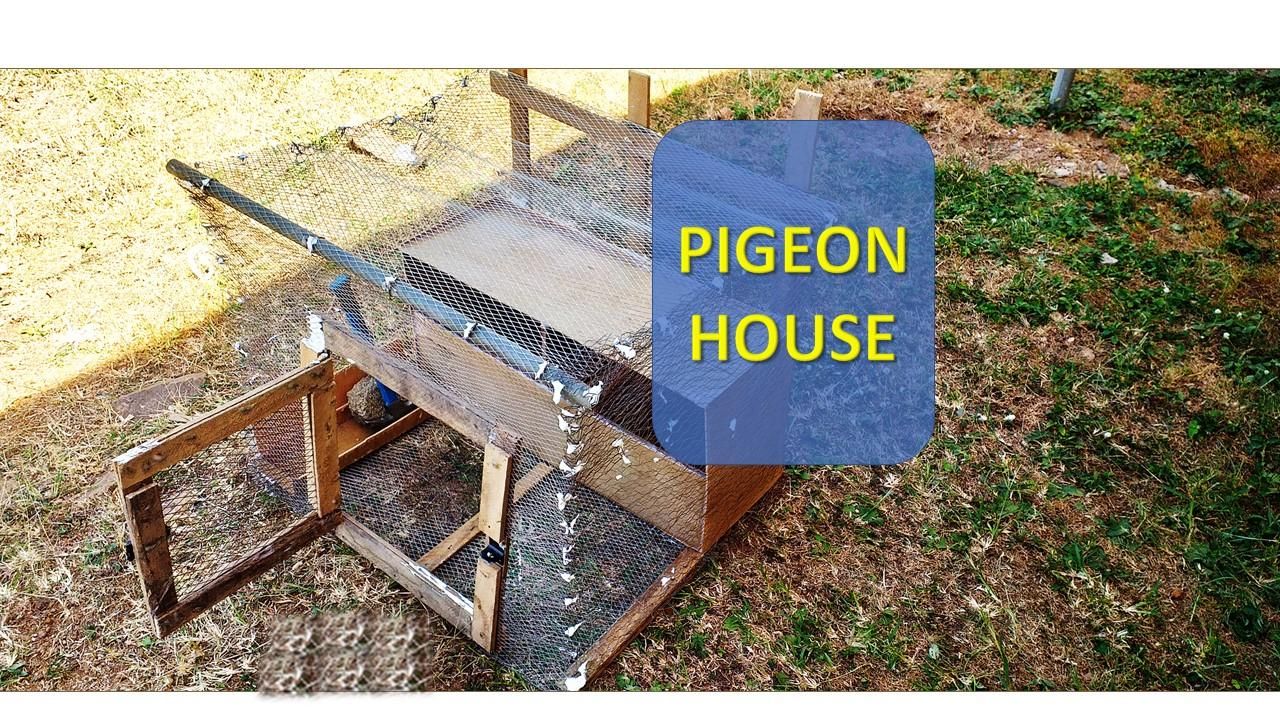 Pigeon House : 8 Steps (with Pictures) - Instructables