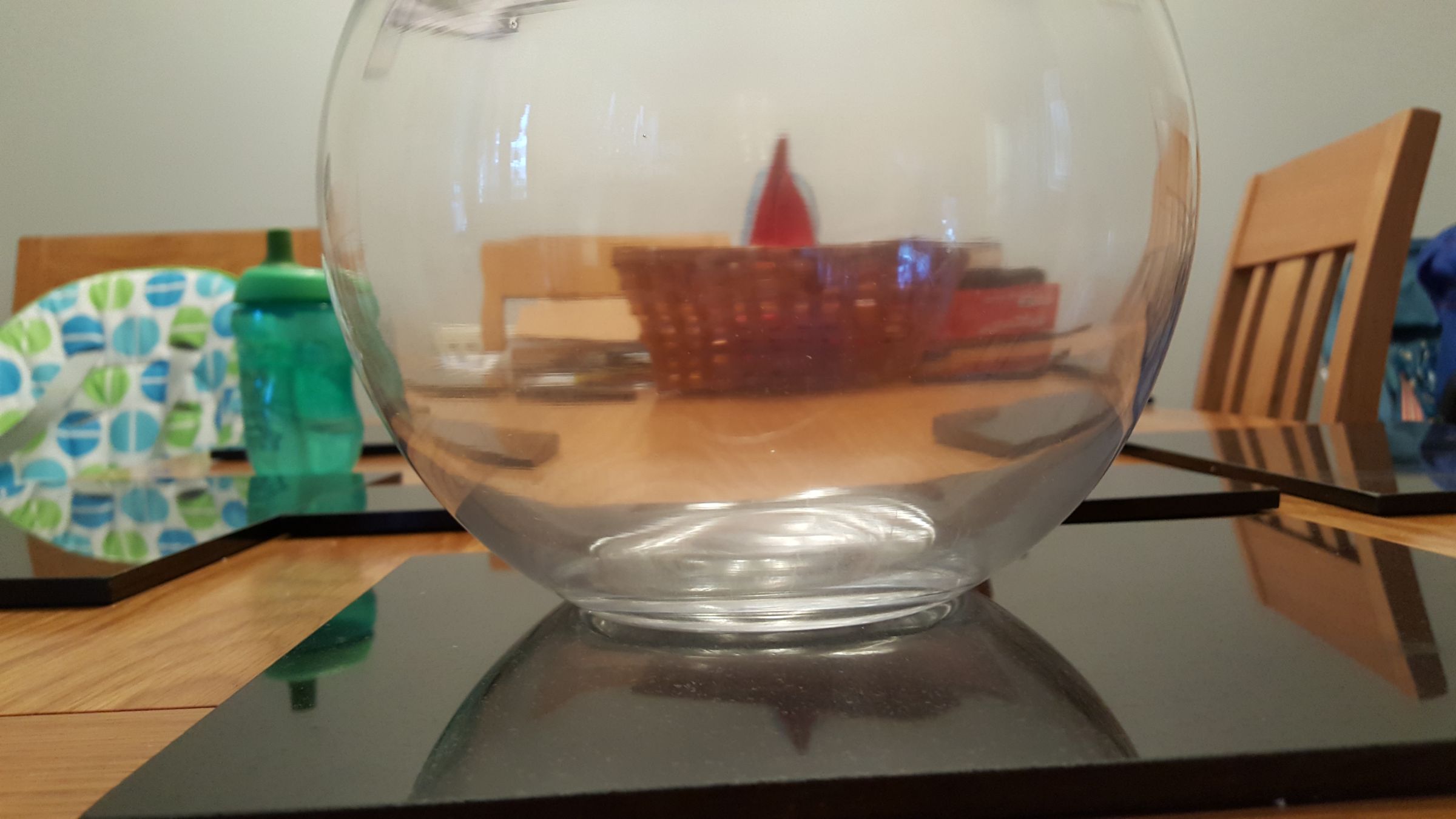 FiSHELF - the Fish Bowl Book Shelf : 7 Steps (with Pictures ...