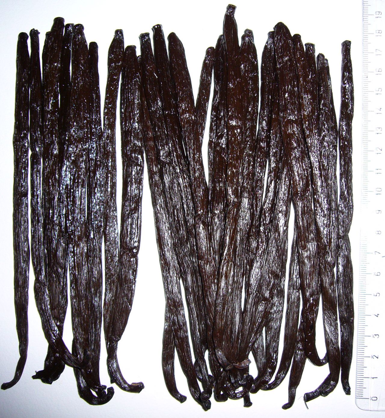 Make Vanilla Extract : 23 Steps (with Pictures) - Instructables