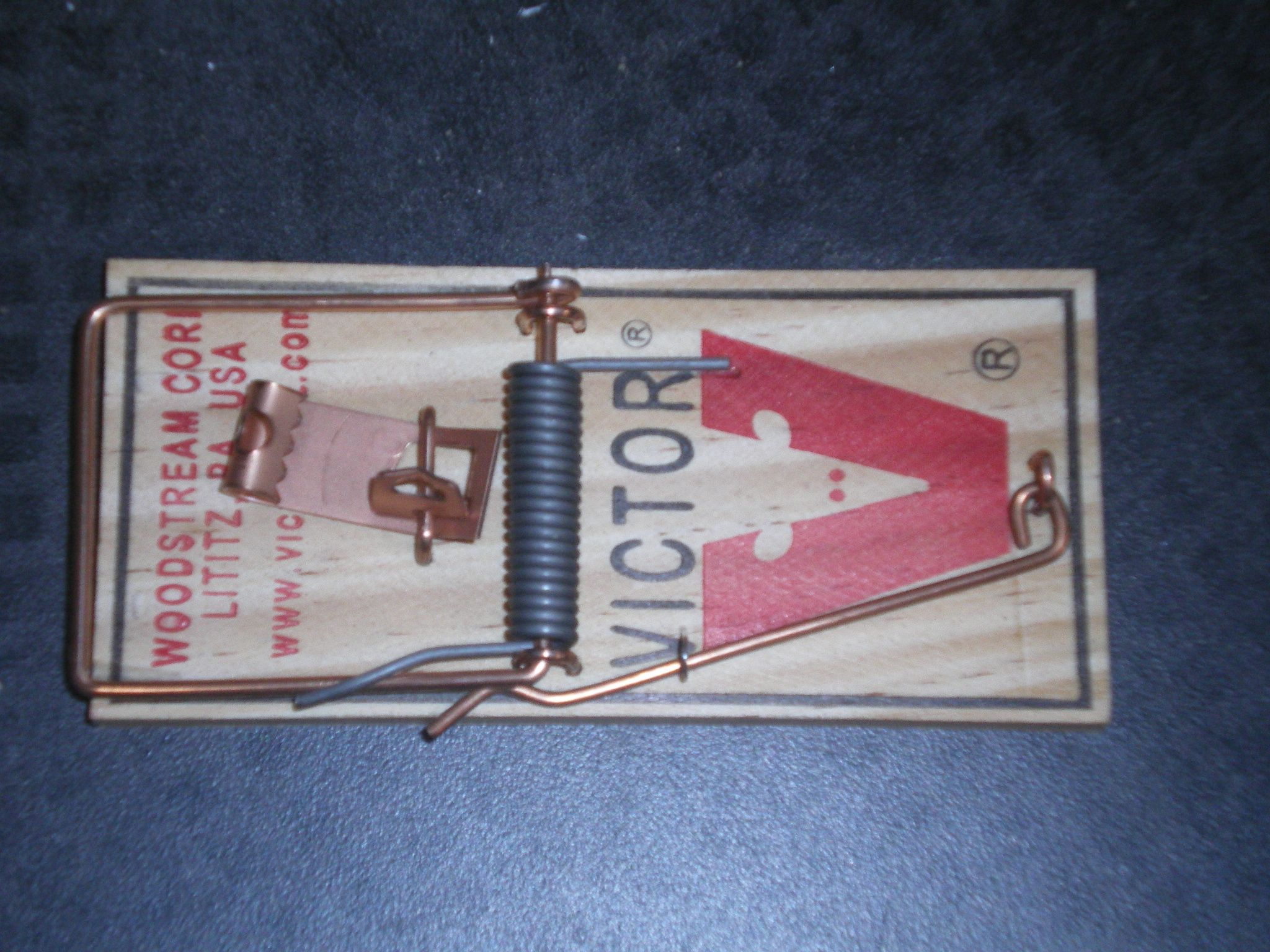 Airsoft Mousetrap Claymore : 9 Steps - Instructables