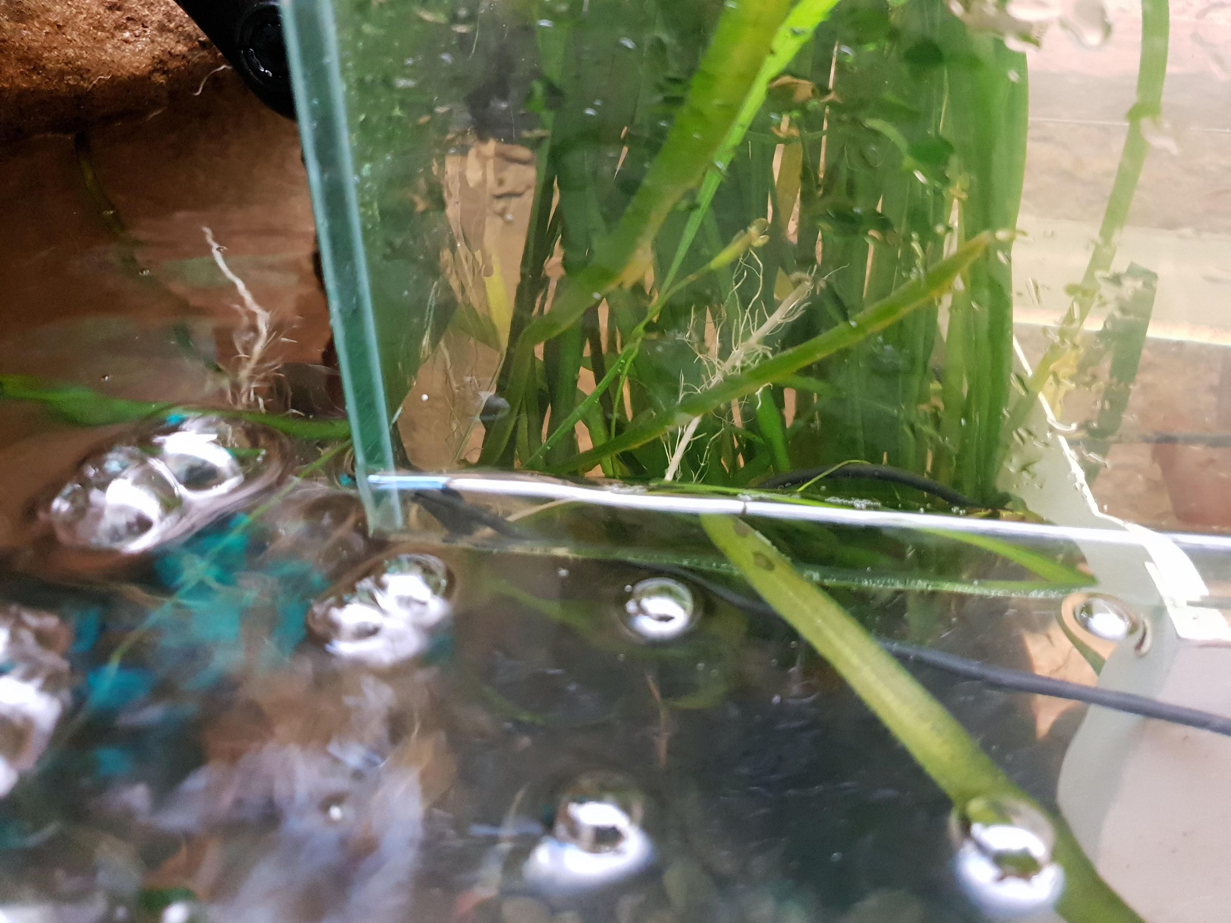 Inverted Fish Tank Tower : 5 Steps (with Pictures) - Instructables