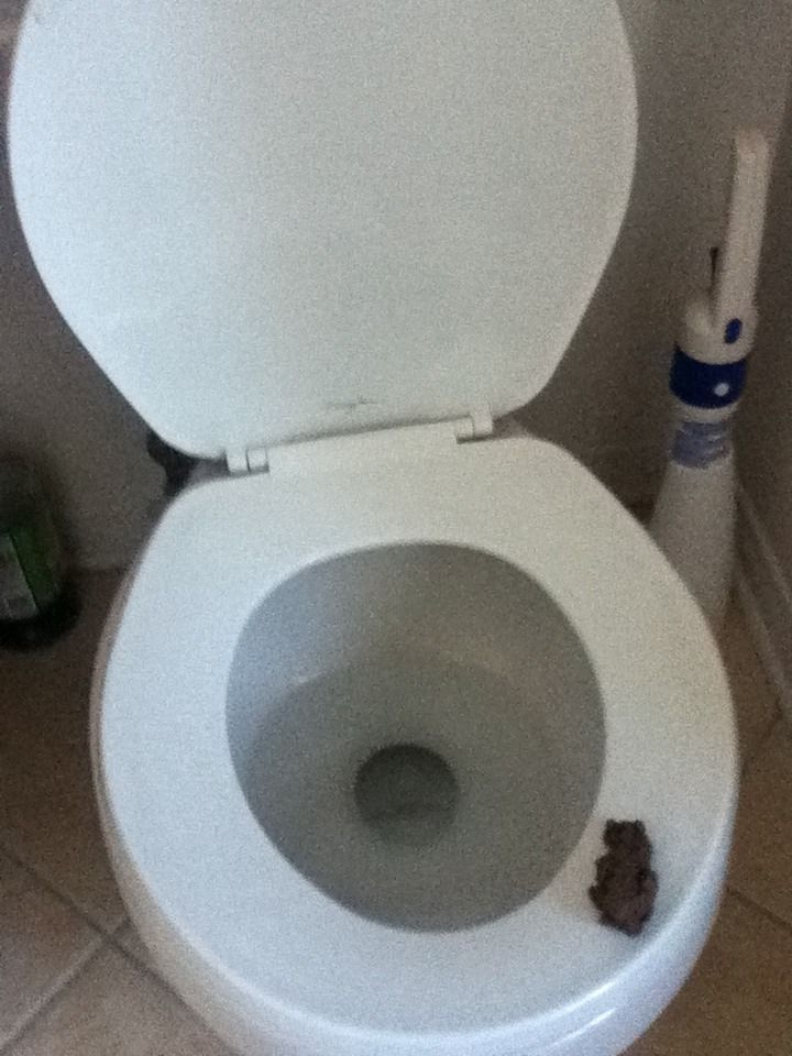 Fake Poop : 6 Steps - Instructables