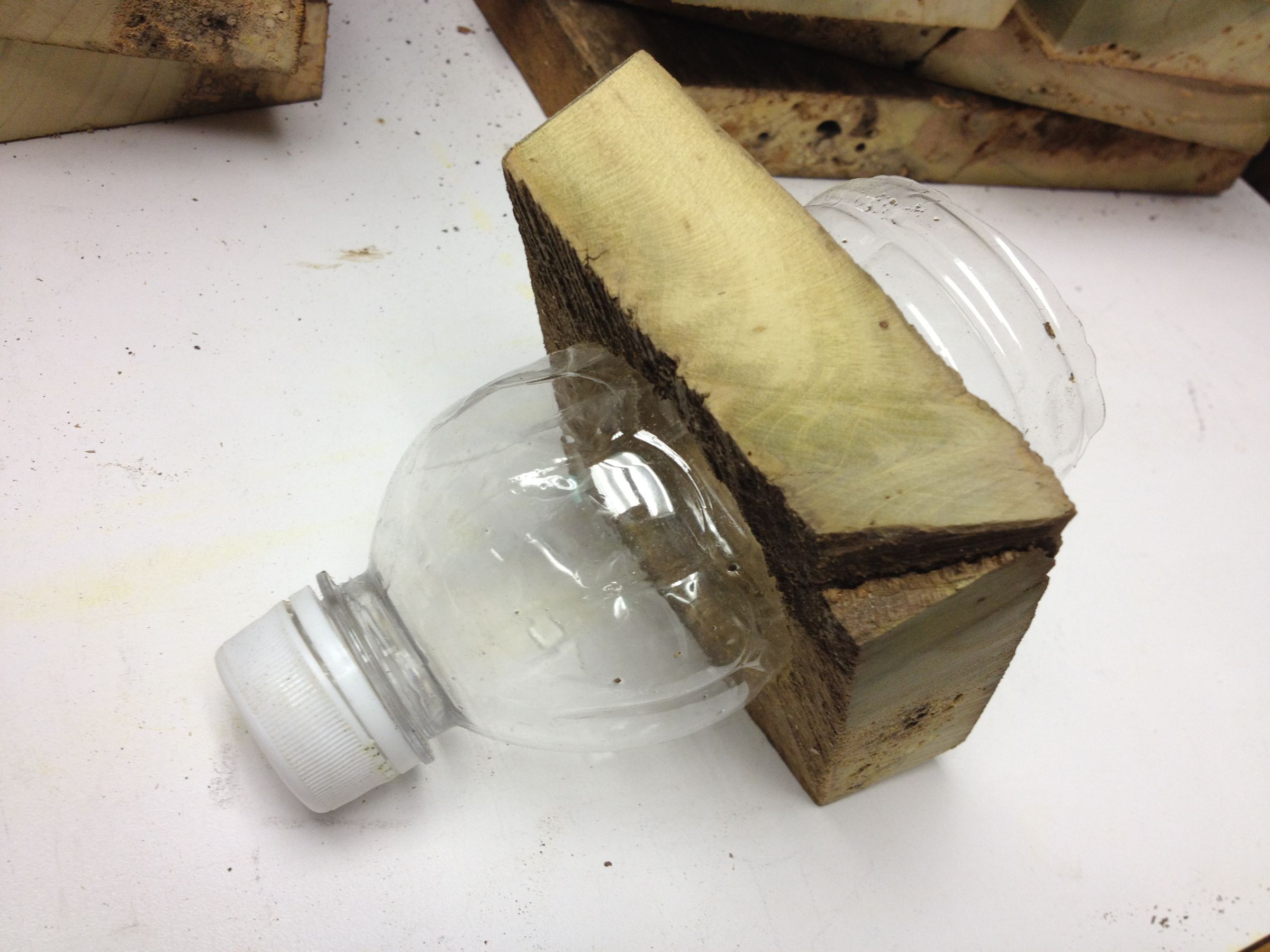 Making Carpenter Bee Traps : 6 Steps (with Pictures) - Instructables
