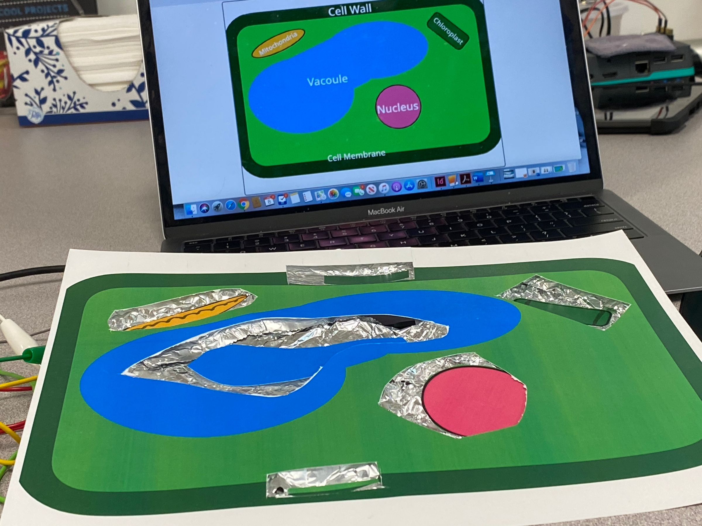 Plant Cell Operation With Makey Makey : 5 Steps (with Pictures ...