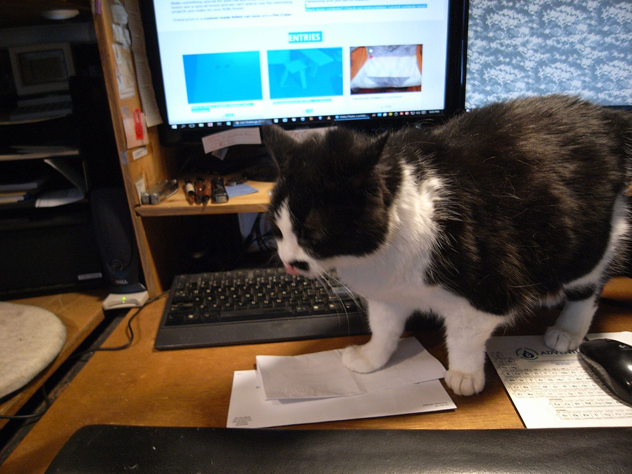 Anti-Keyboard Cat Attack Mat (AKCAM) : 10 Steps (with Pictures ...