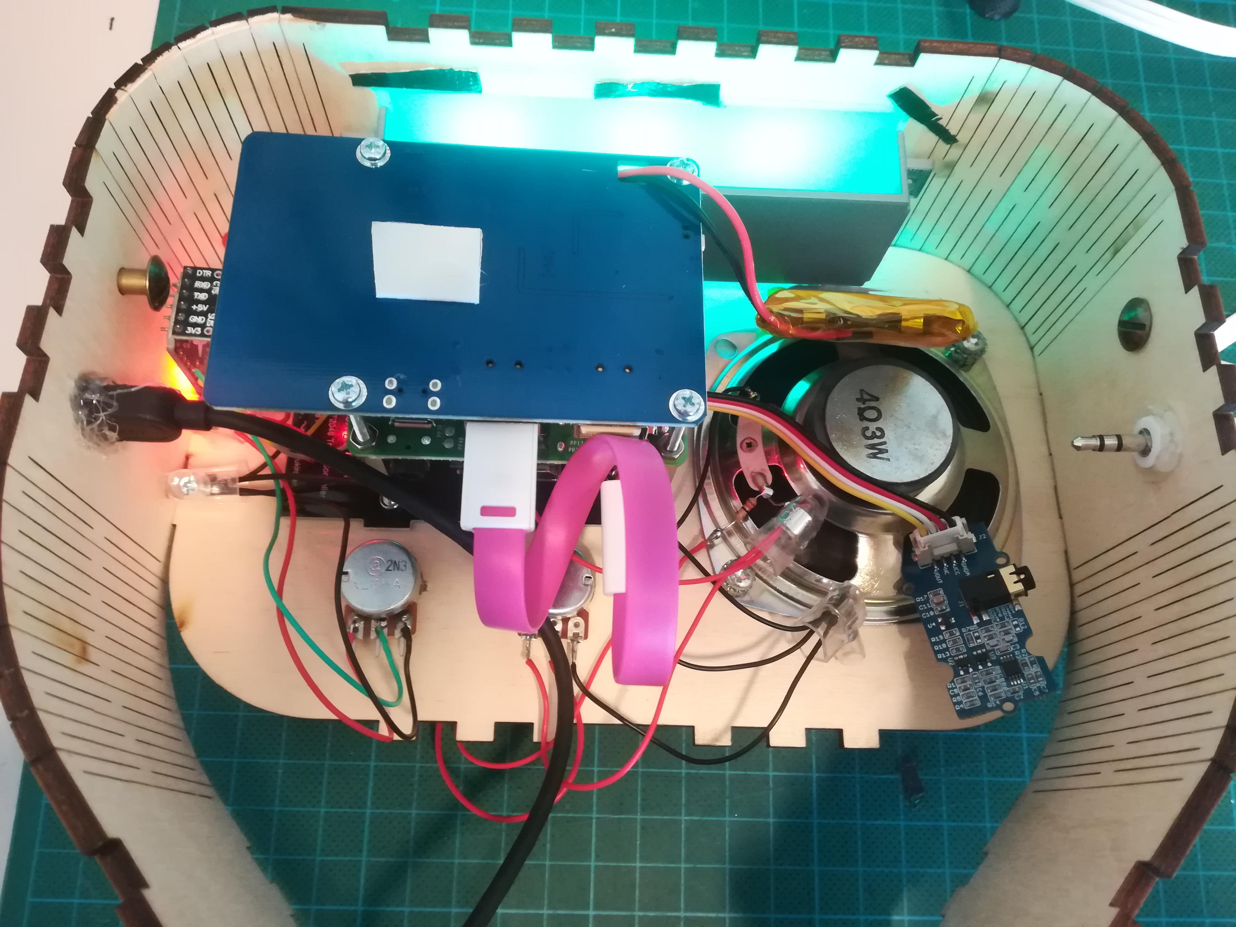 Plant-radio : 9 Steps (with Pictures) - Instructables