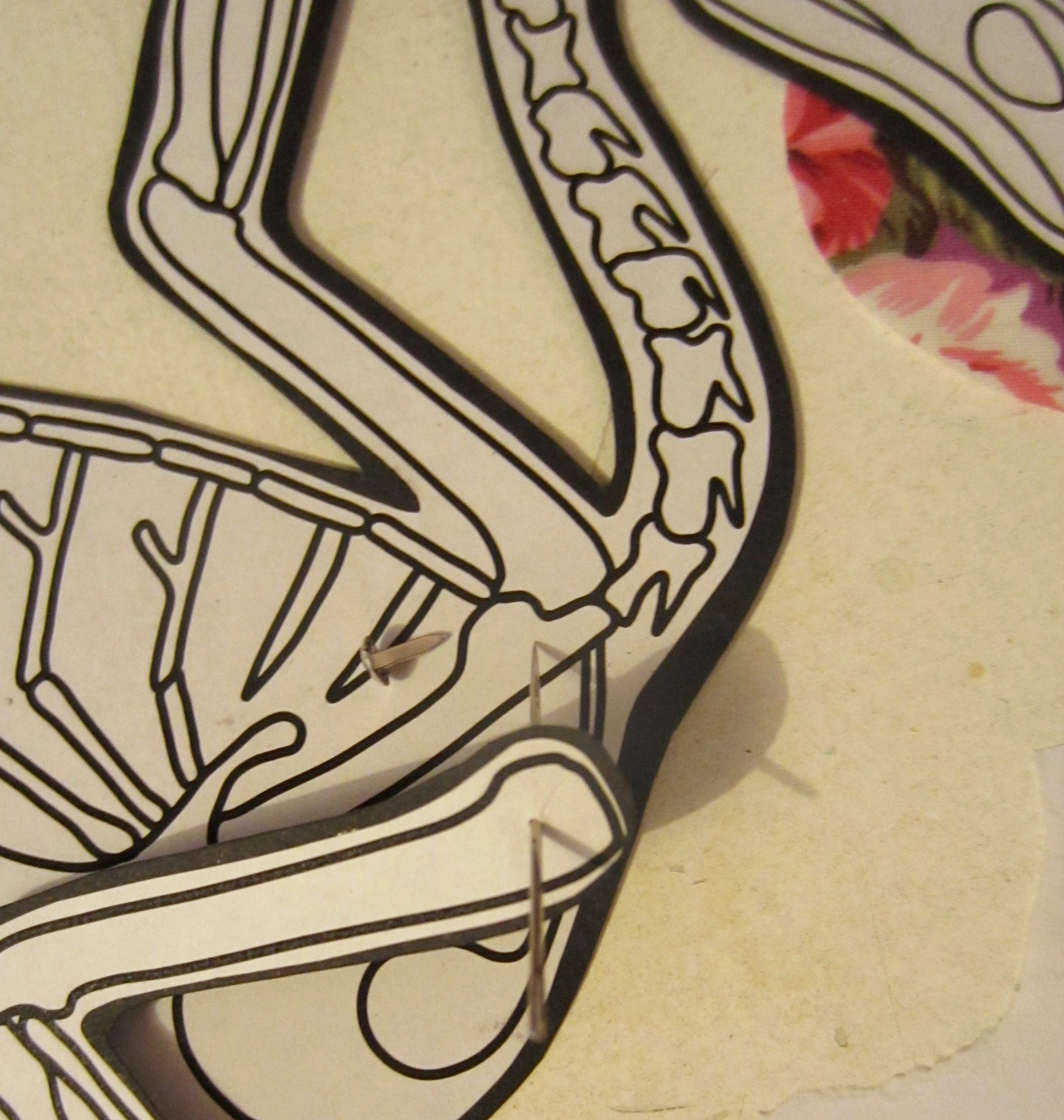 Chicken Skeleton Paper Puppet (with Pictures) - Instructables