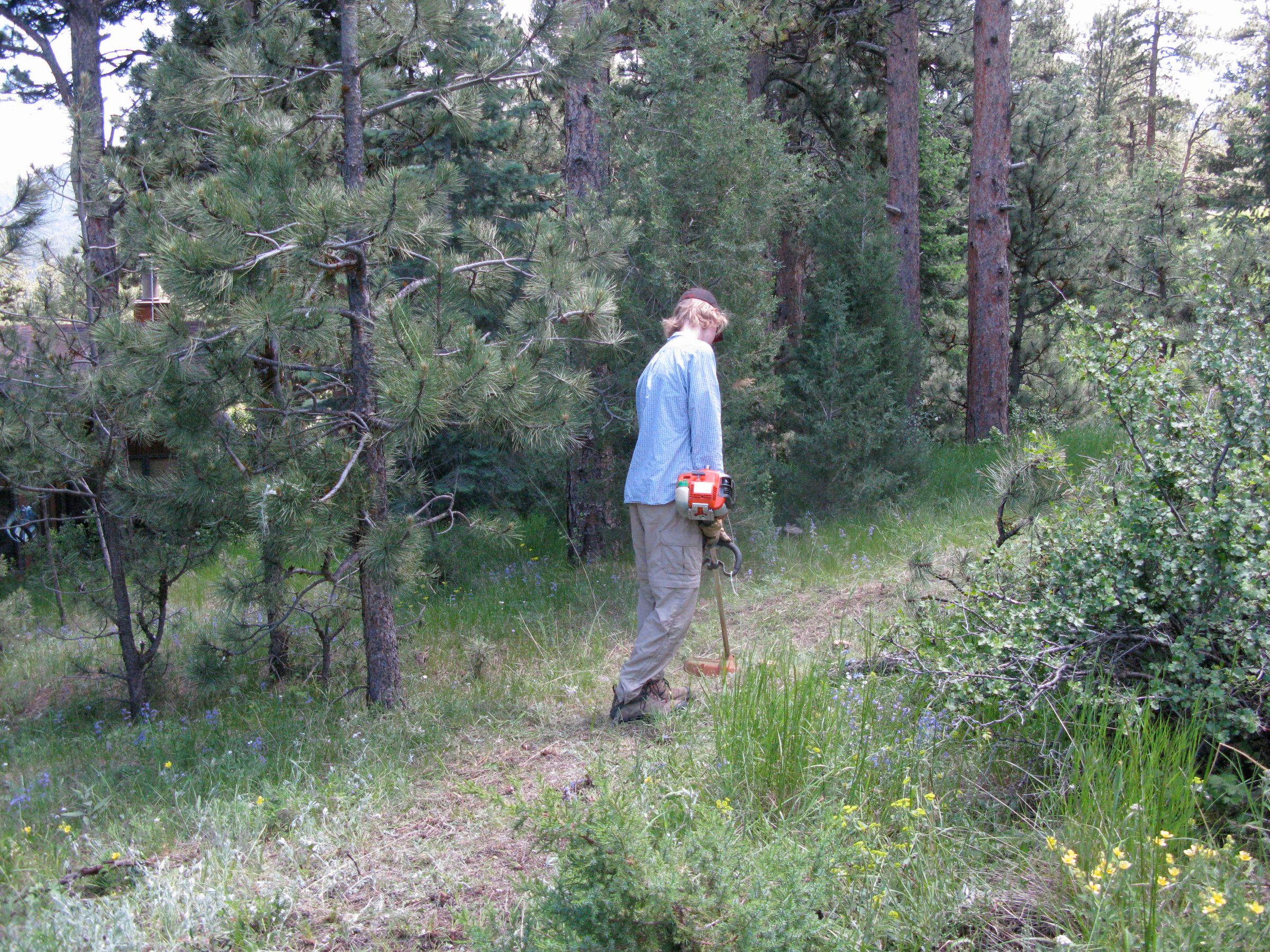 Bulid a Mountain Bike Trail : 7 Steps - Instructables