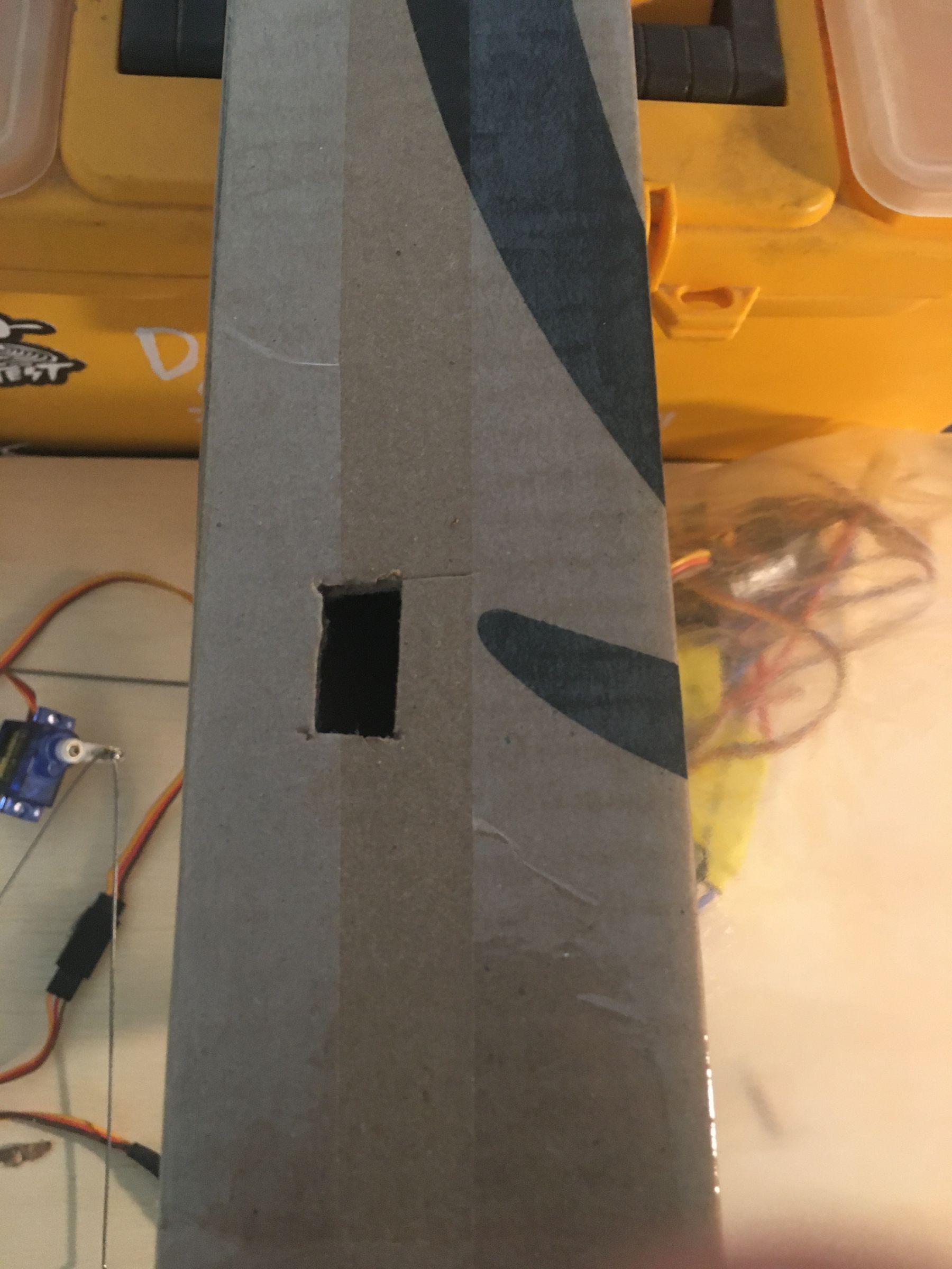 The Cardboard Canard (Canardboard) : 9 Steps (with Pictures ...