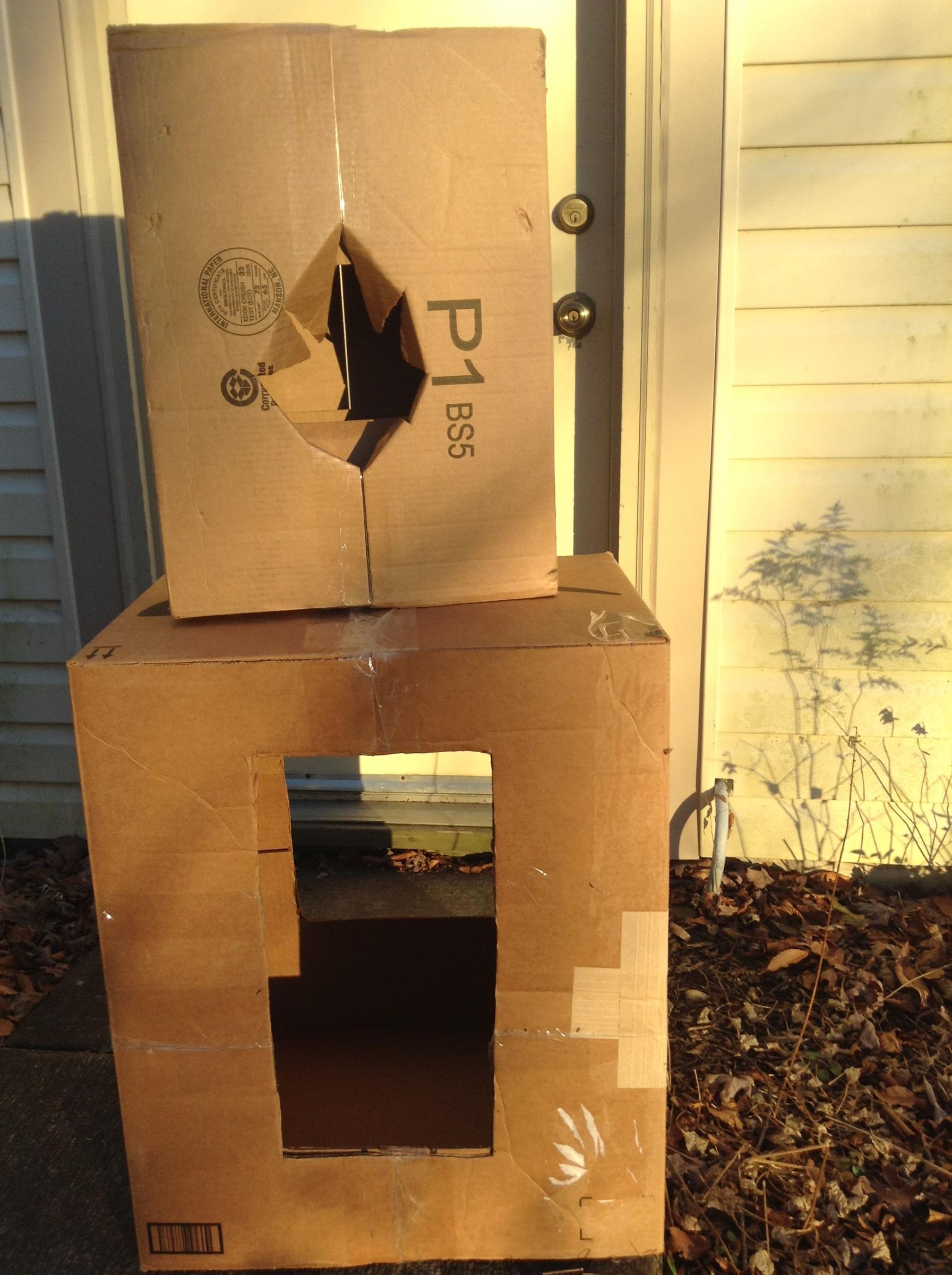 Amazon Delivery Box Costume : 3 Steps - Instructables