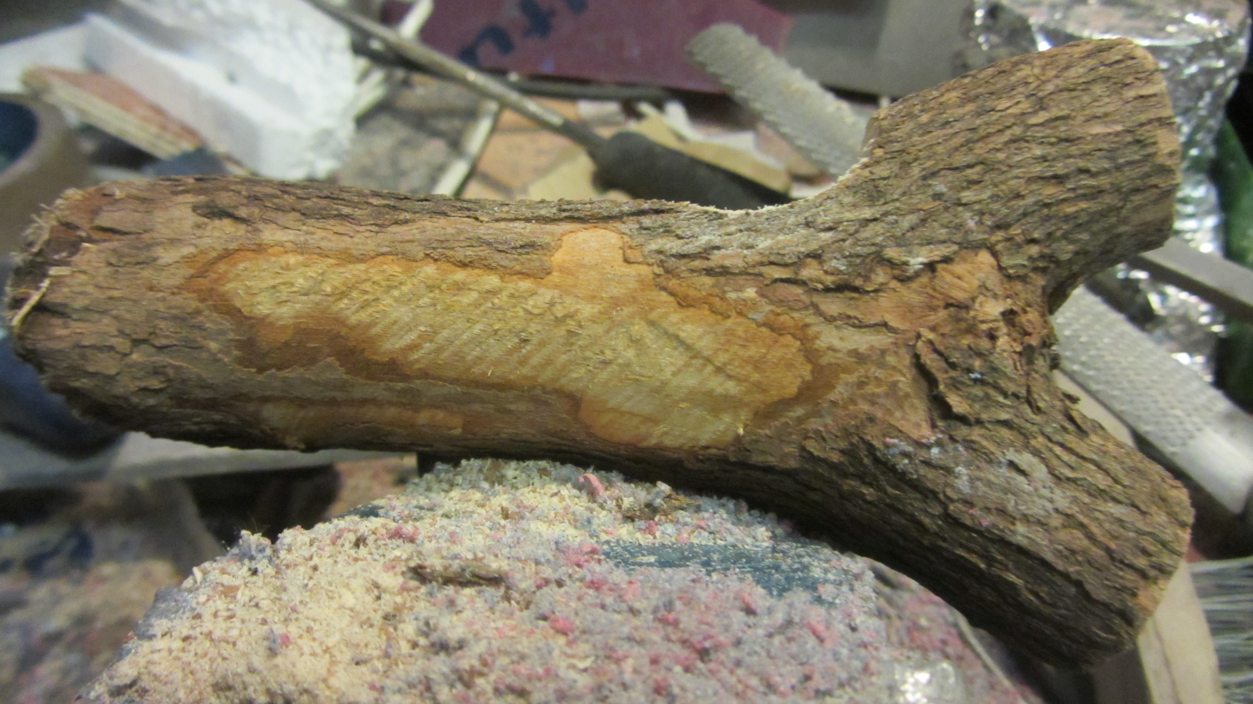 How to Carve a Beautiful Wooden Slingshot From a Tree Branch ...