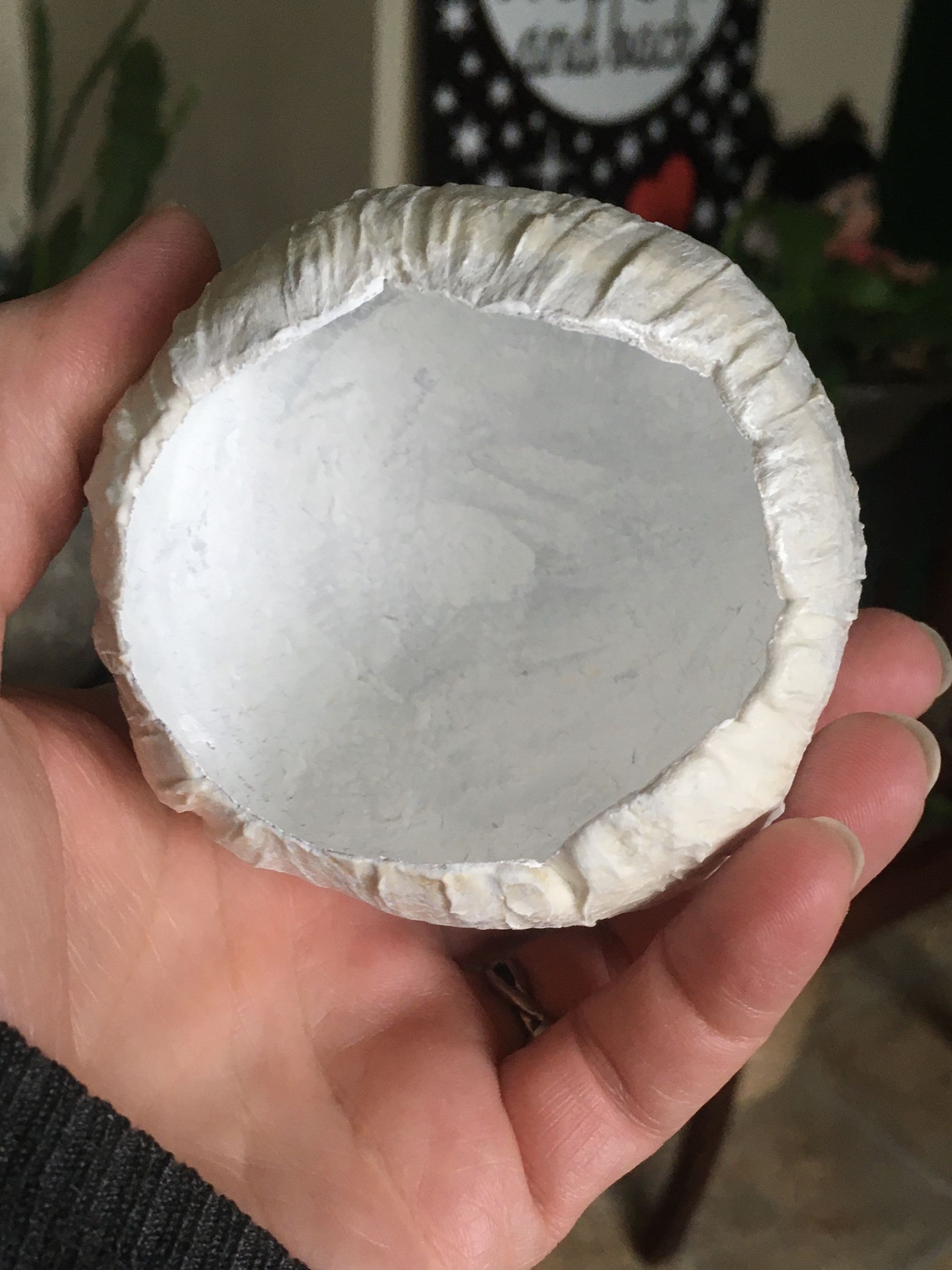 Barnacle Sculptures--and an Experiment With 2 Kinds of Homemade Paper ...