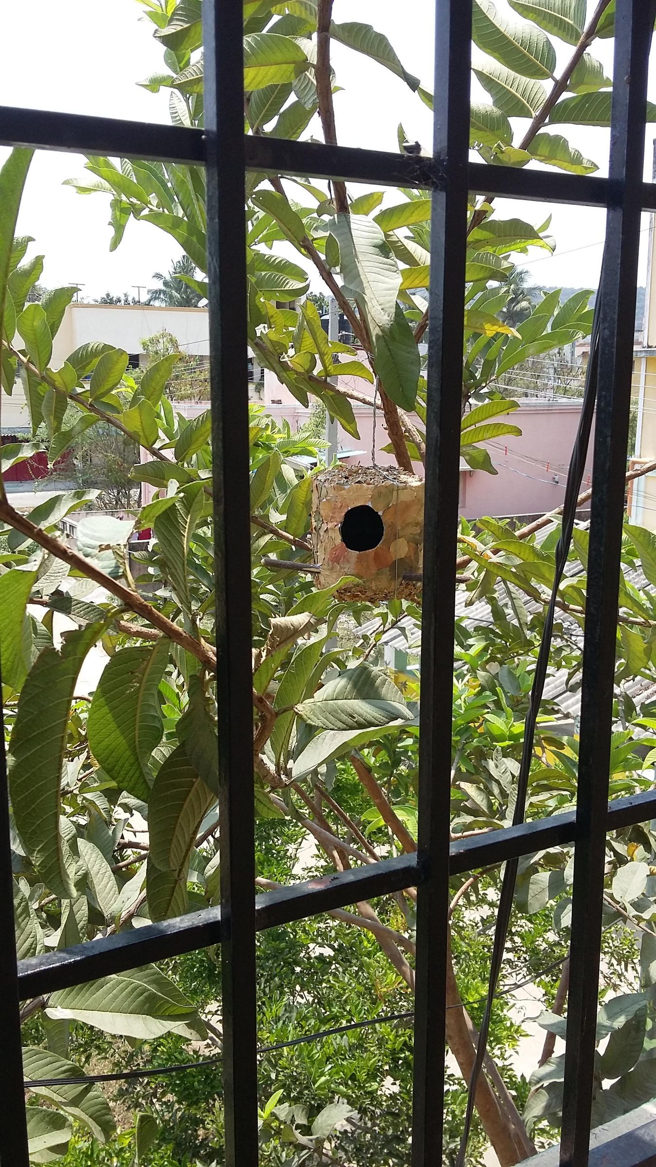 Cardboard Birds Nest Box : 12 Steps (with Pictures) - Instructables