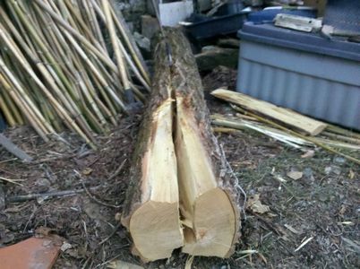 Splitting Black Locust Logs With Wedges : 7 Steps (with Pictures ...
