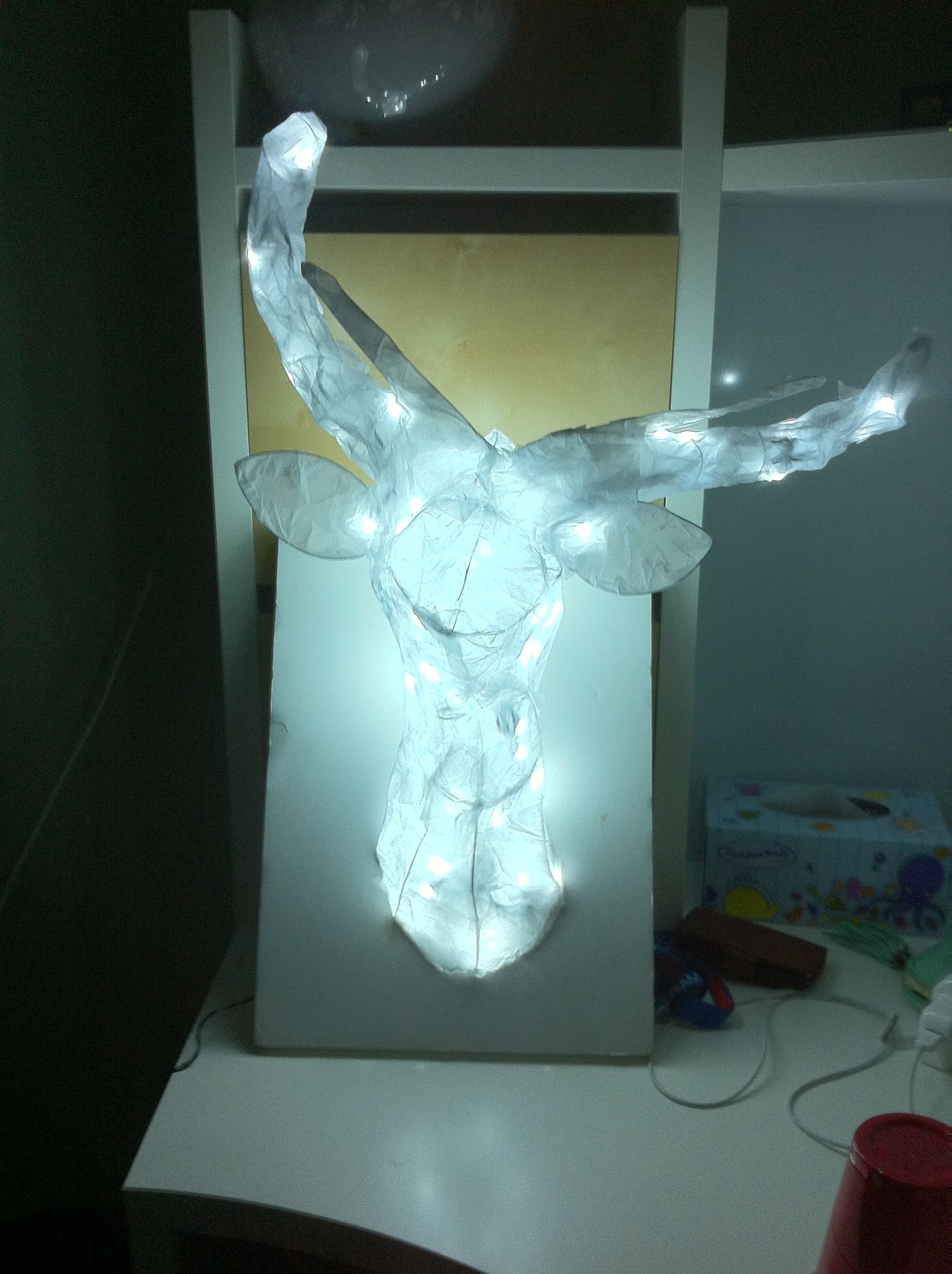 Wall Trophy Lamp : 6 Steps (with Pictures) - Instructables
