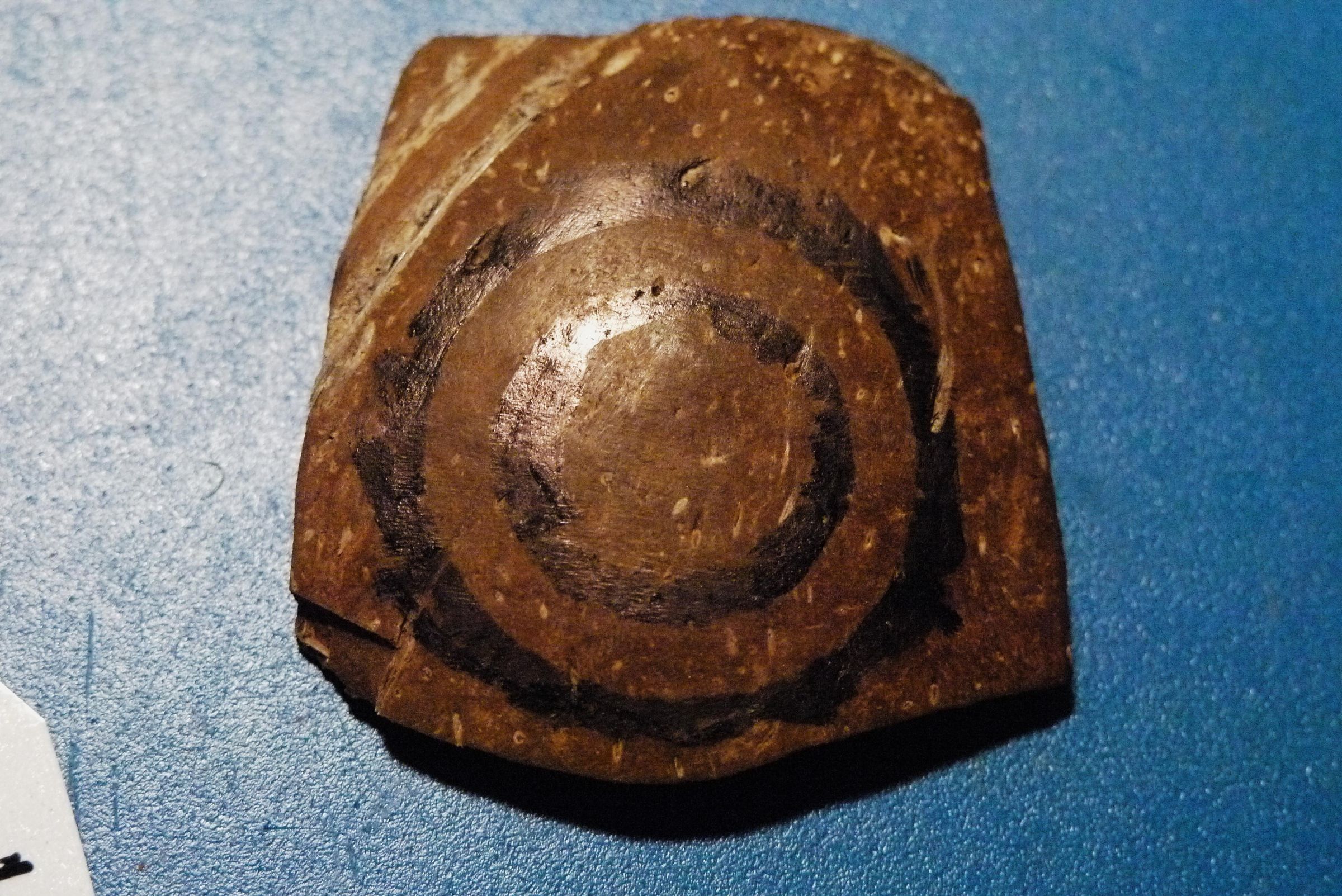 Coconut Ring : 4 Steps (with Pictures) - Instructables