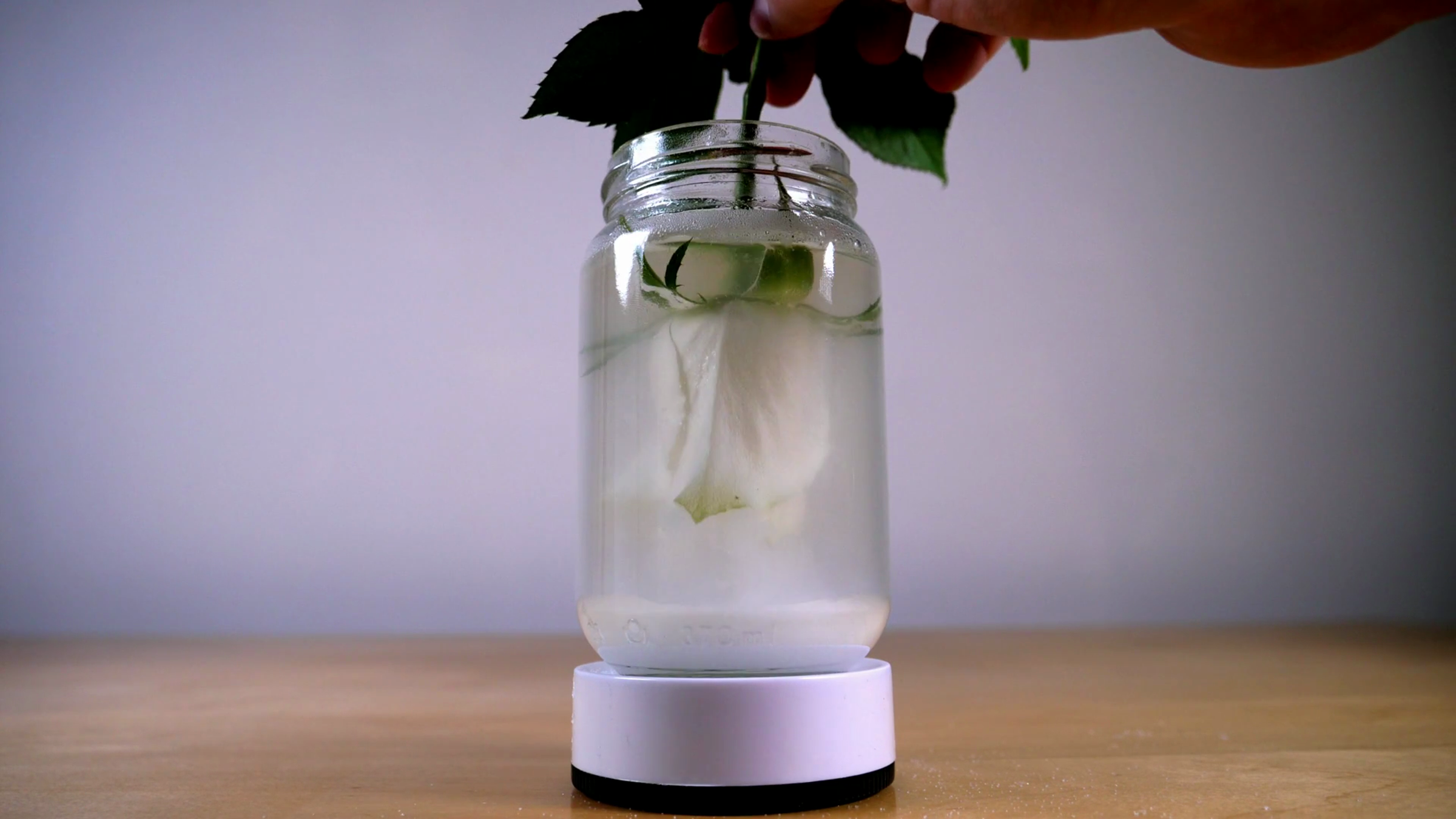 Flower Crystallization : 8 Steps (with Pictures) - Instructables