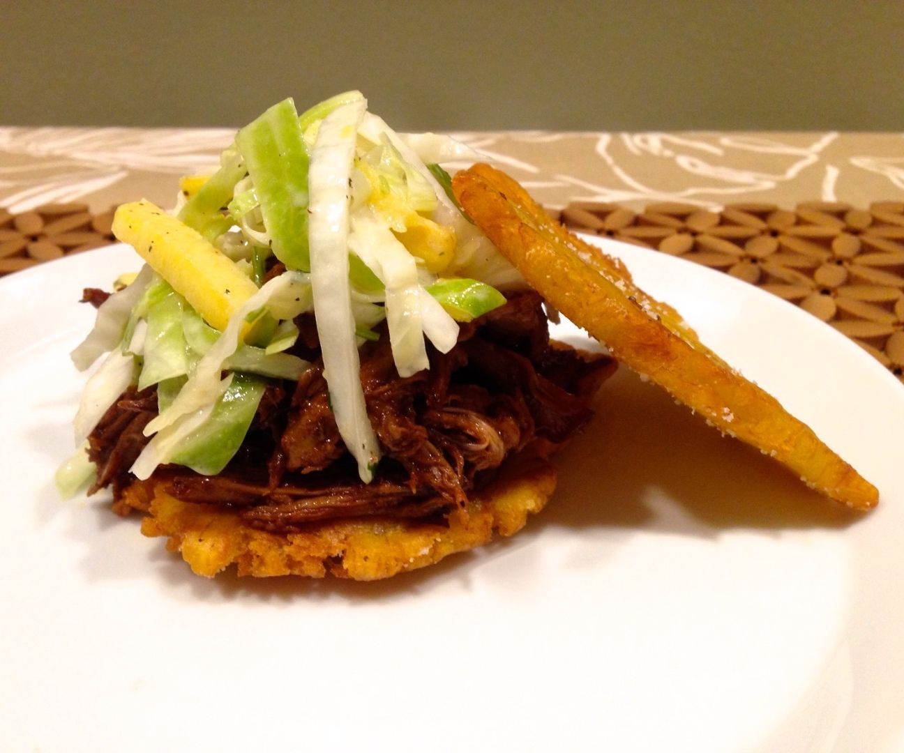 Meet the Patacon! : 6 Steps (with Pictures) - Instructables