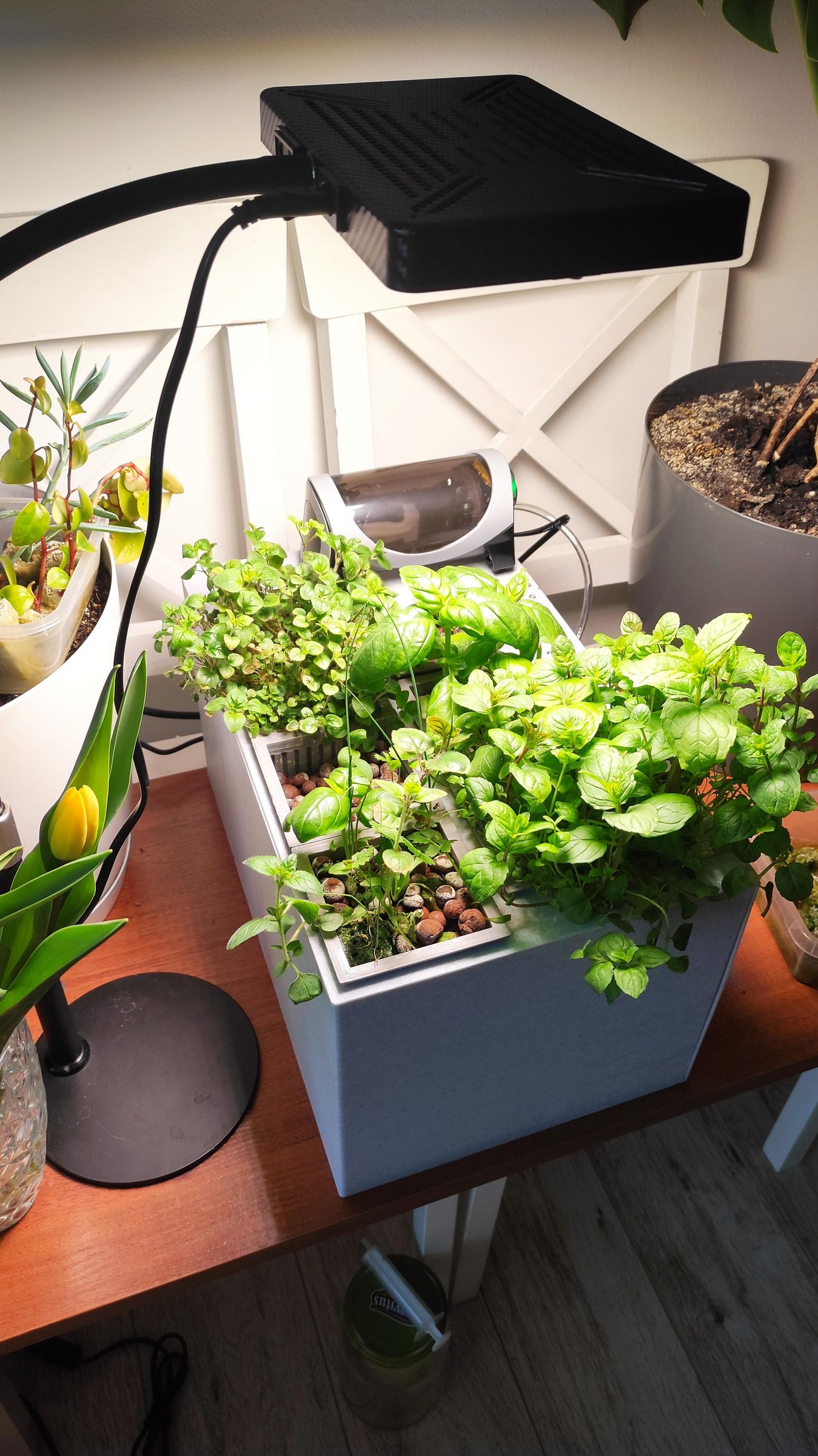 HydroForge - Hydroponic Station : 17 Steps (with Pictures) - Instructables