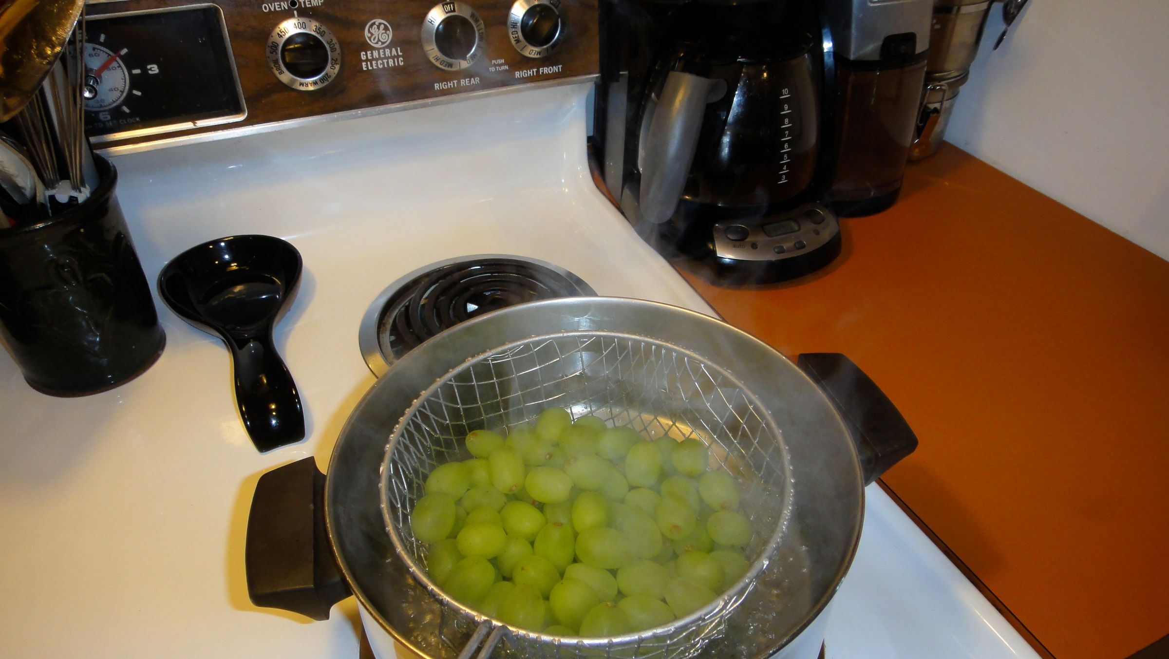 Make Raisins With a Dehydrator : 4 Steps (with Pictures) - Instructables
