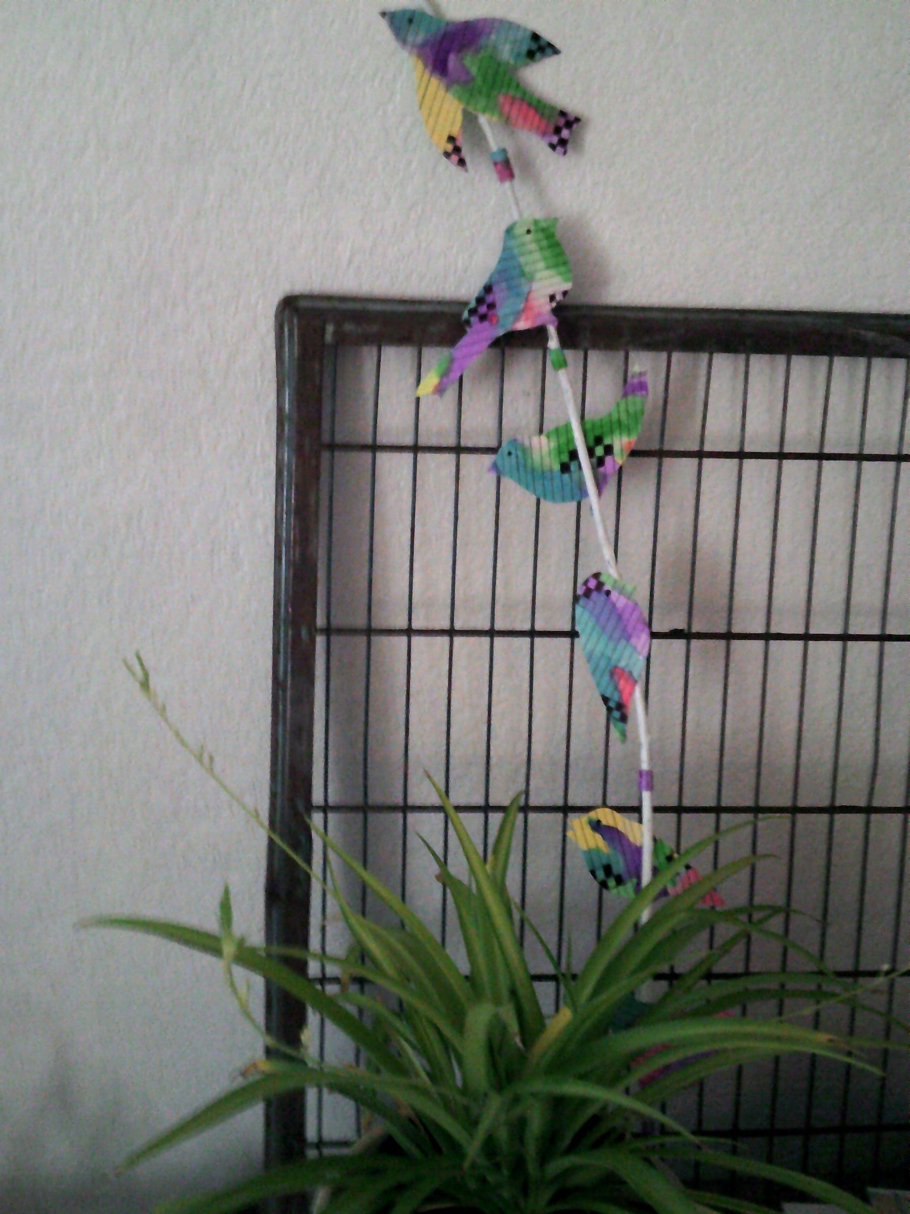 Rainbow Birds : 4 Steps - Instructables