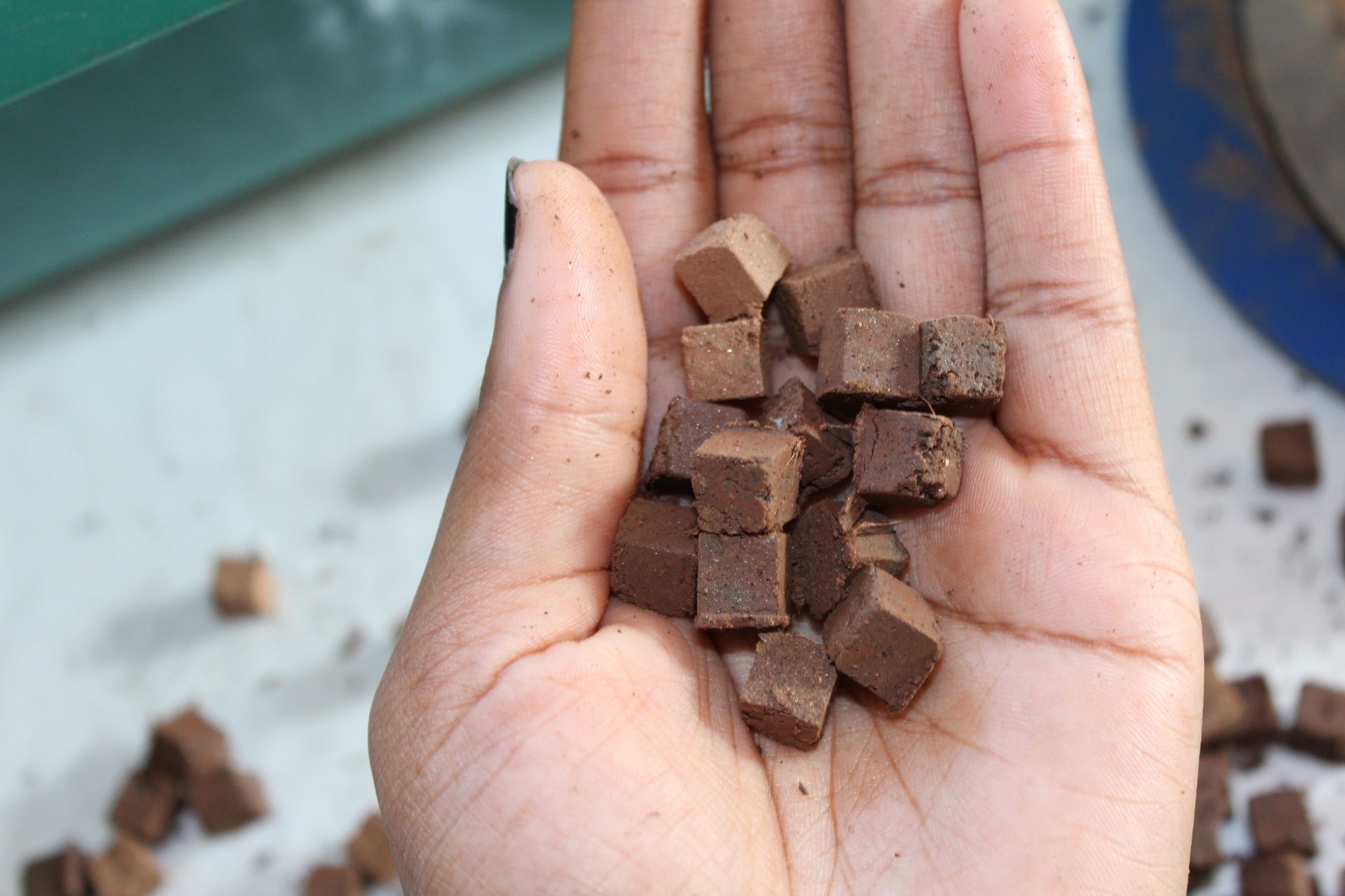 Homemade Pelleted Seeds : 8 Steps (with Pictures) - Instructables