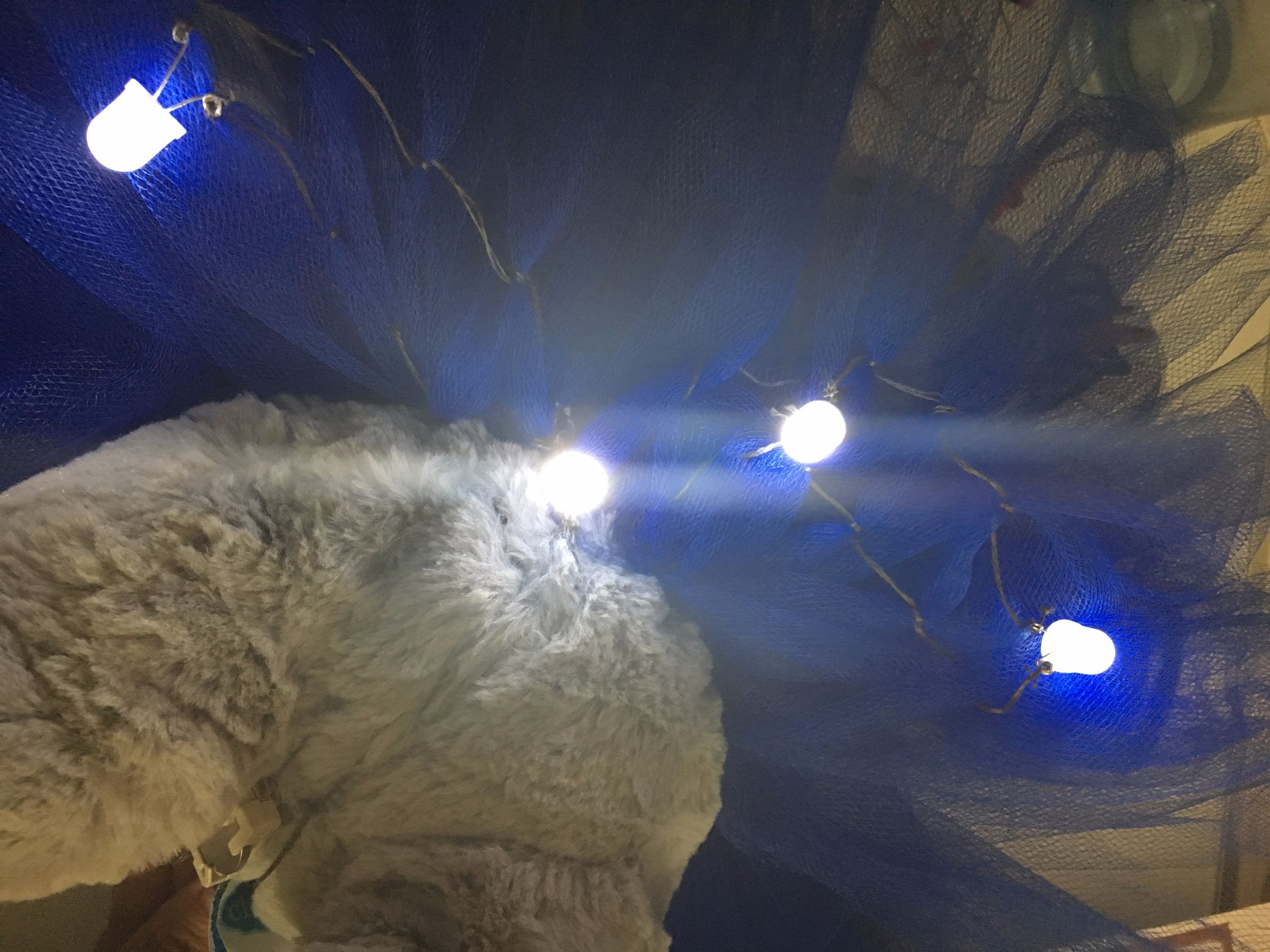 Night Light Plush Toy : 7 Steps (with Pictures) - Instructables