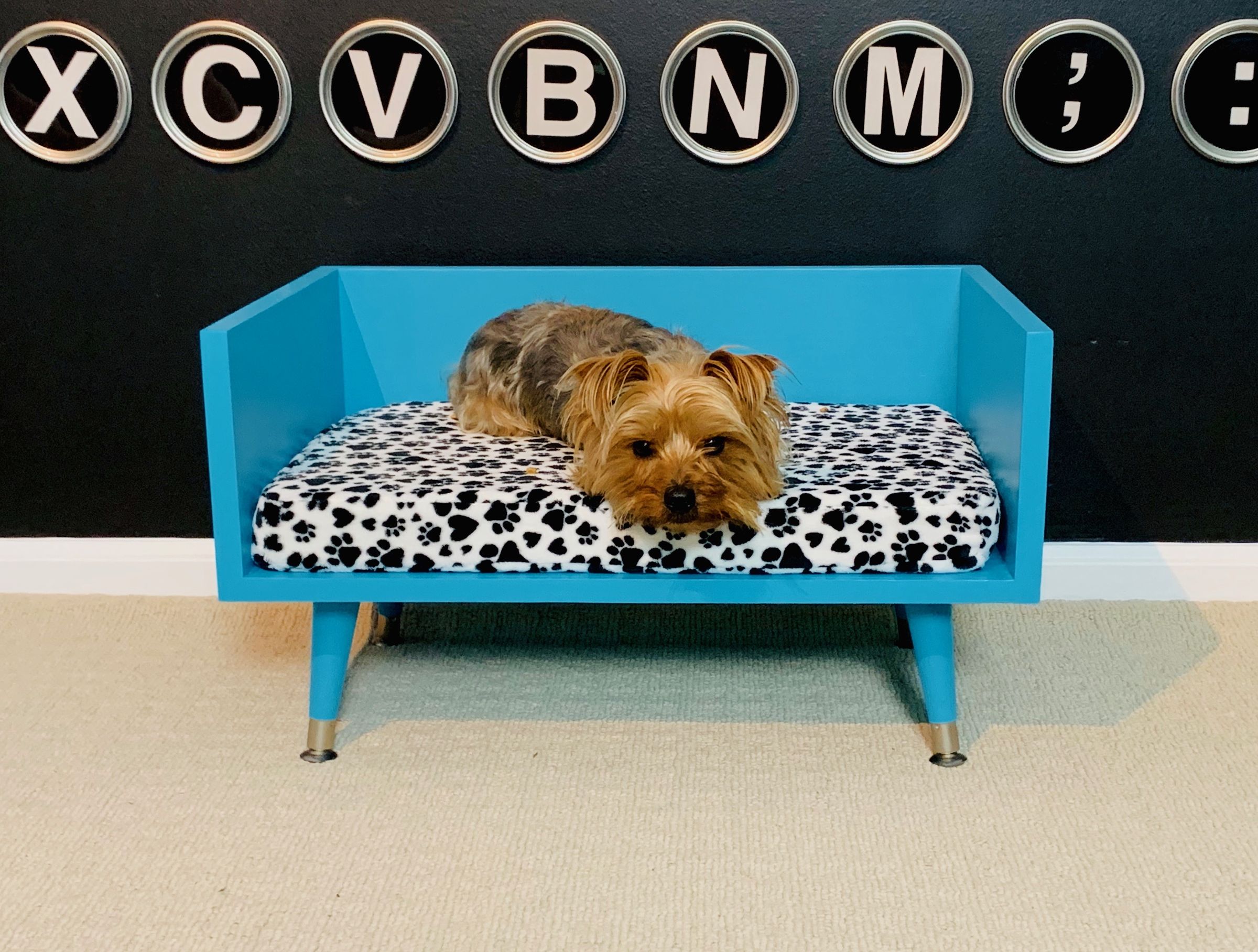 MCM Dog Bed With Washable Mattress! : 6 Steps (with Pictures ...