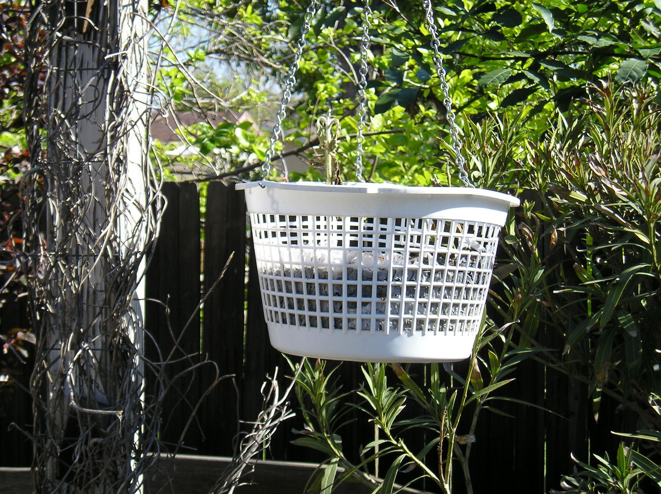 Make Virtually Free Hanging Planters/Upside Down Tomatoes : 6 Steps ...