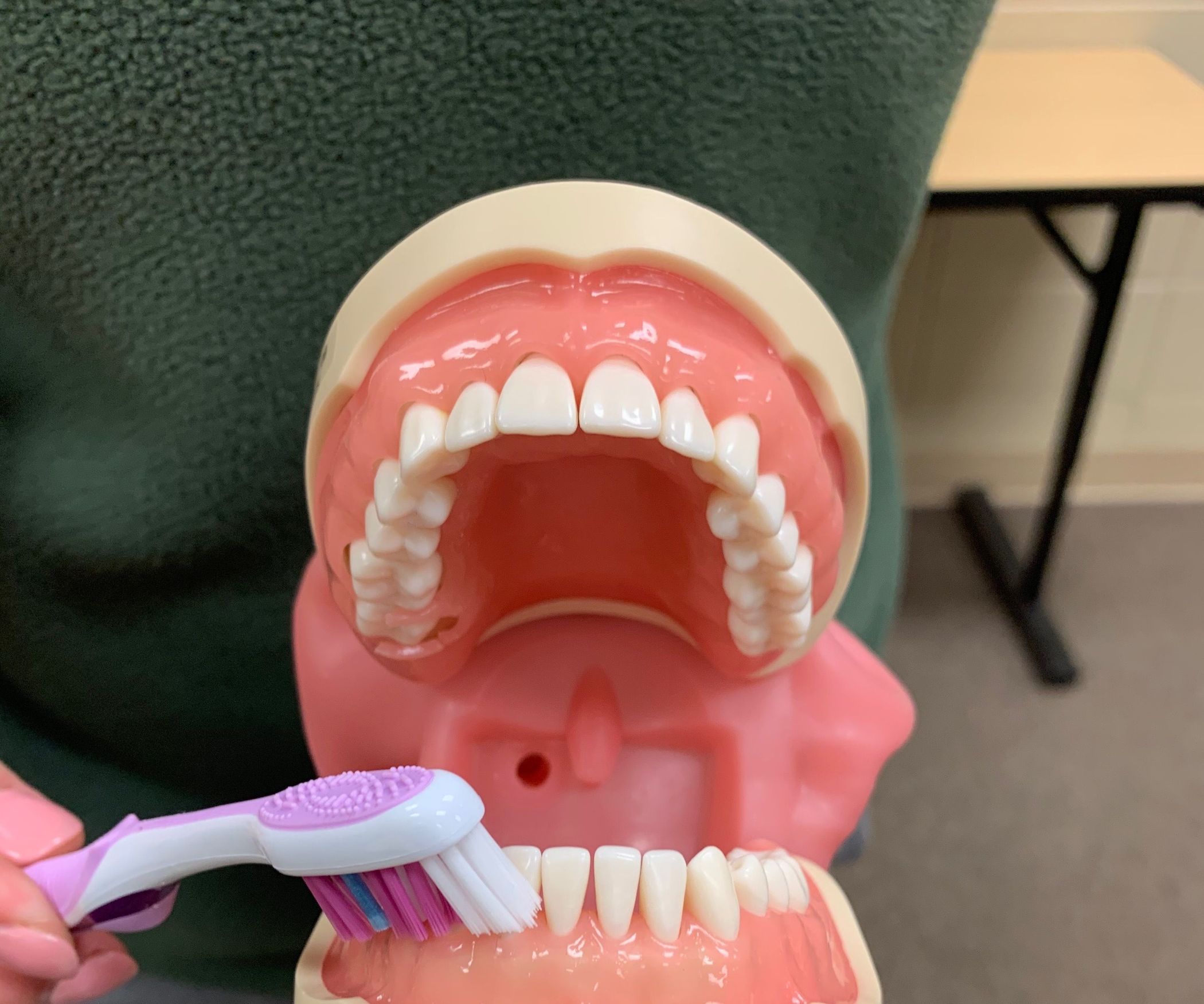 How to Brush : 3 Steps - Instructables