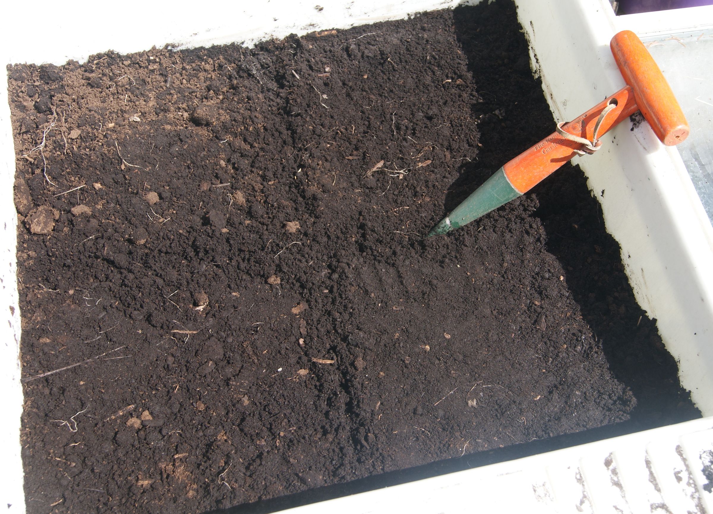 How to Plant Really Small Seeds : 3 Steps (with Pictures) - Instructables