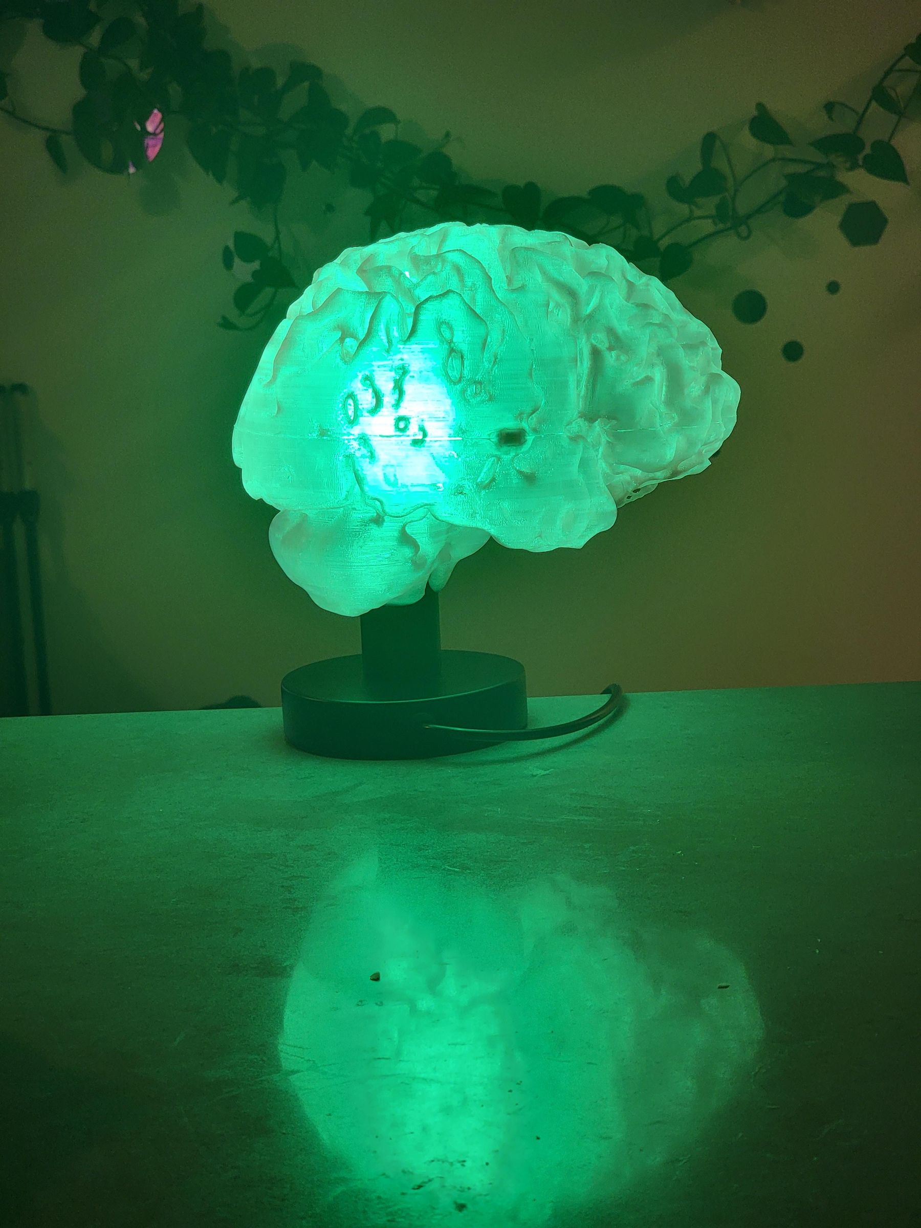 How To: From MRI to 3D Printed Brain Lamp : 4 Steps (with Pictures) - Instructables