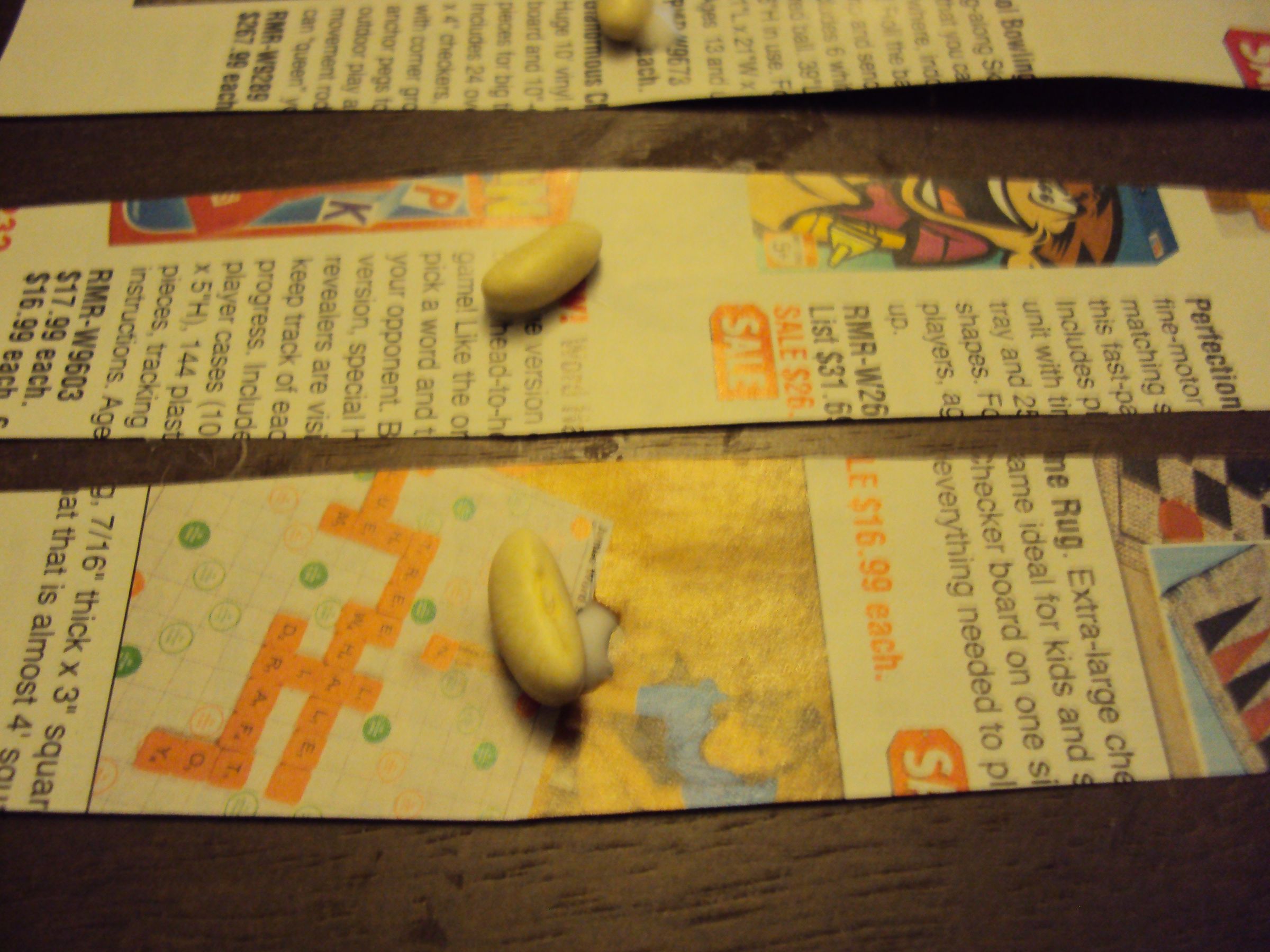 Garden All Year Long With Recycled Paper Seed Strips! : 5 Steps ...