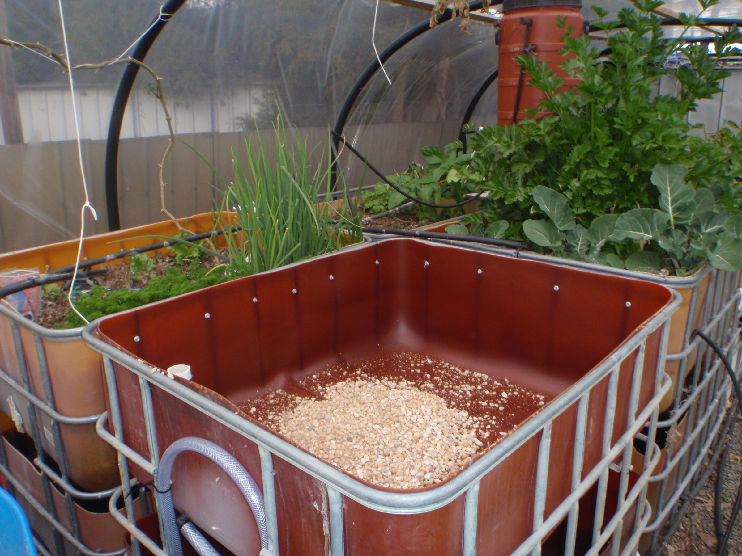 Vermiponic Garden : 12 Steps (with Pictures) - Instructables
