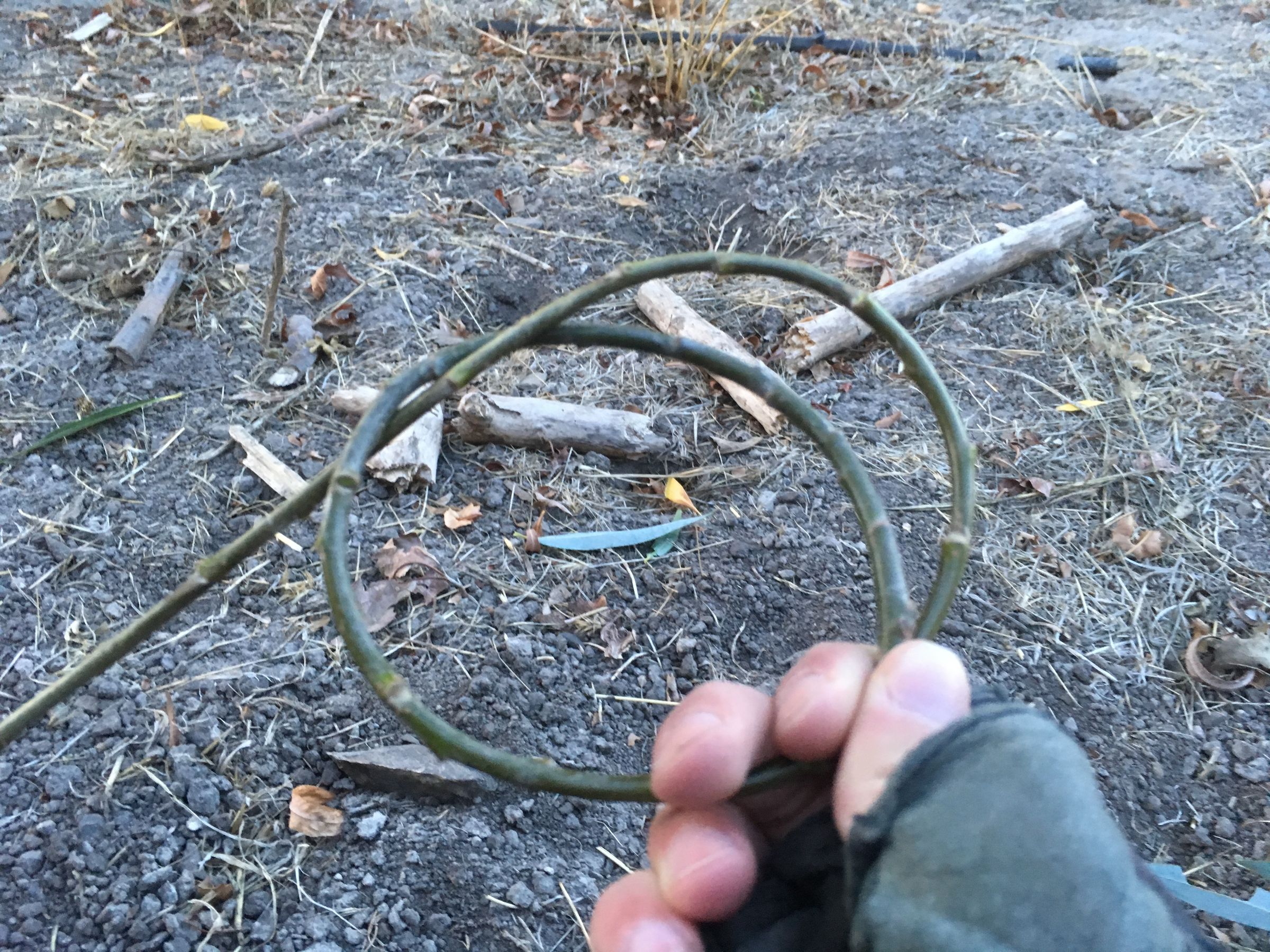 5 Super-easy Branch Carving Projects : 10 Steps (with Pictures ...