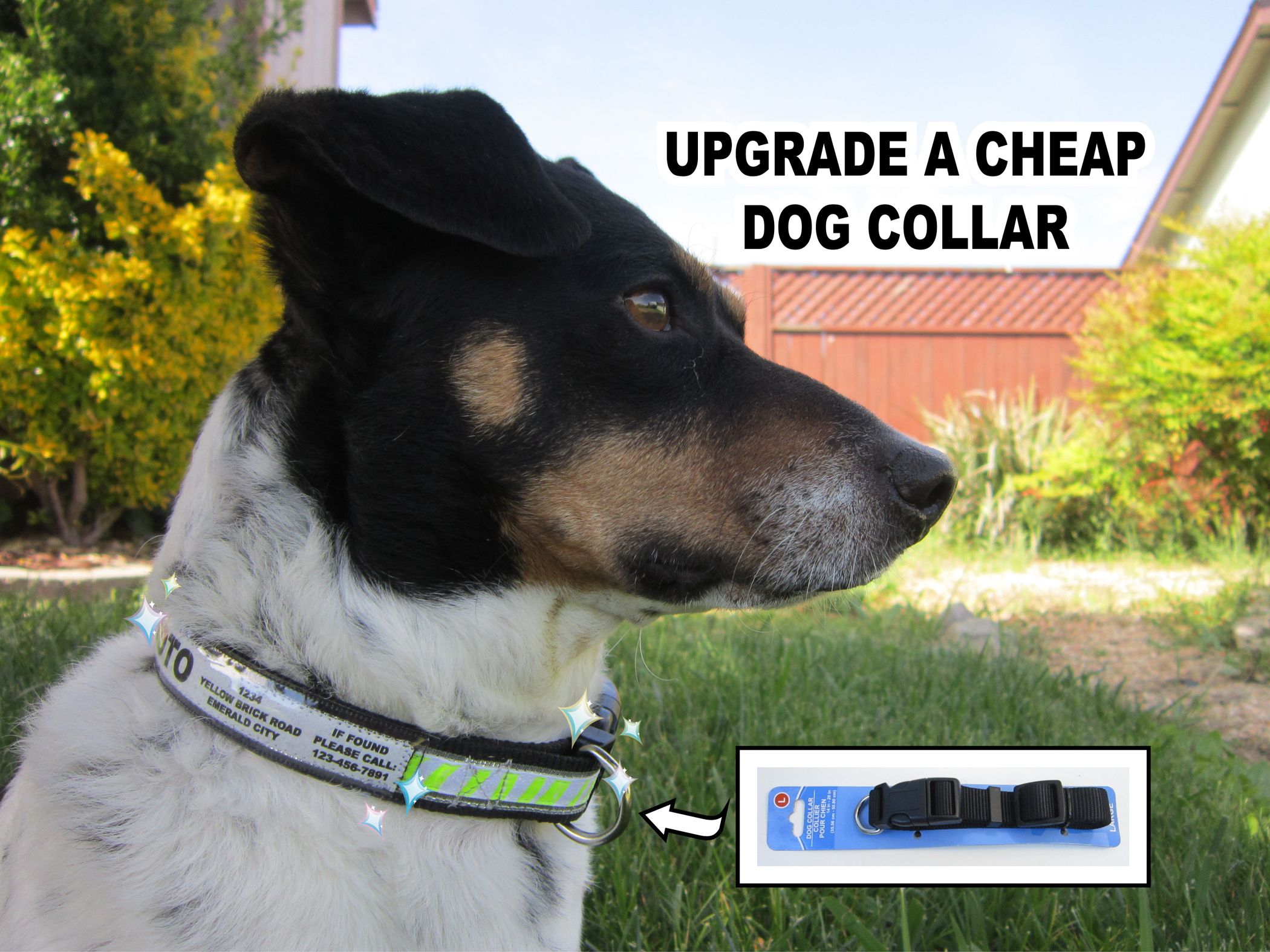 Upgrade a Dog Collar : 6 Steps (with Pictures) - Instructables