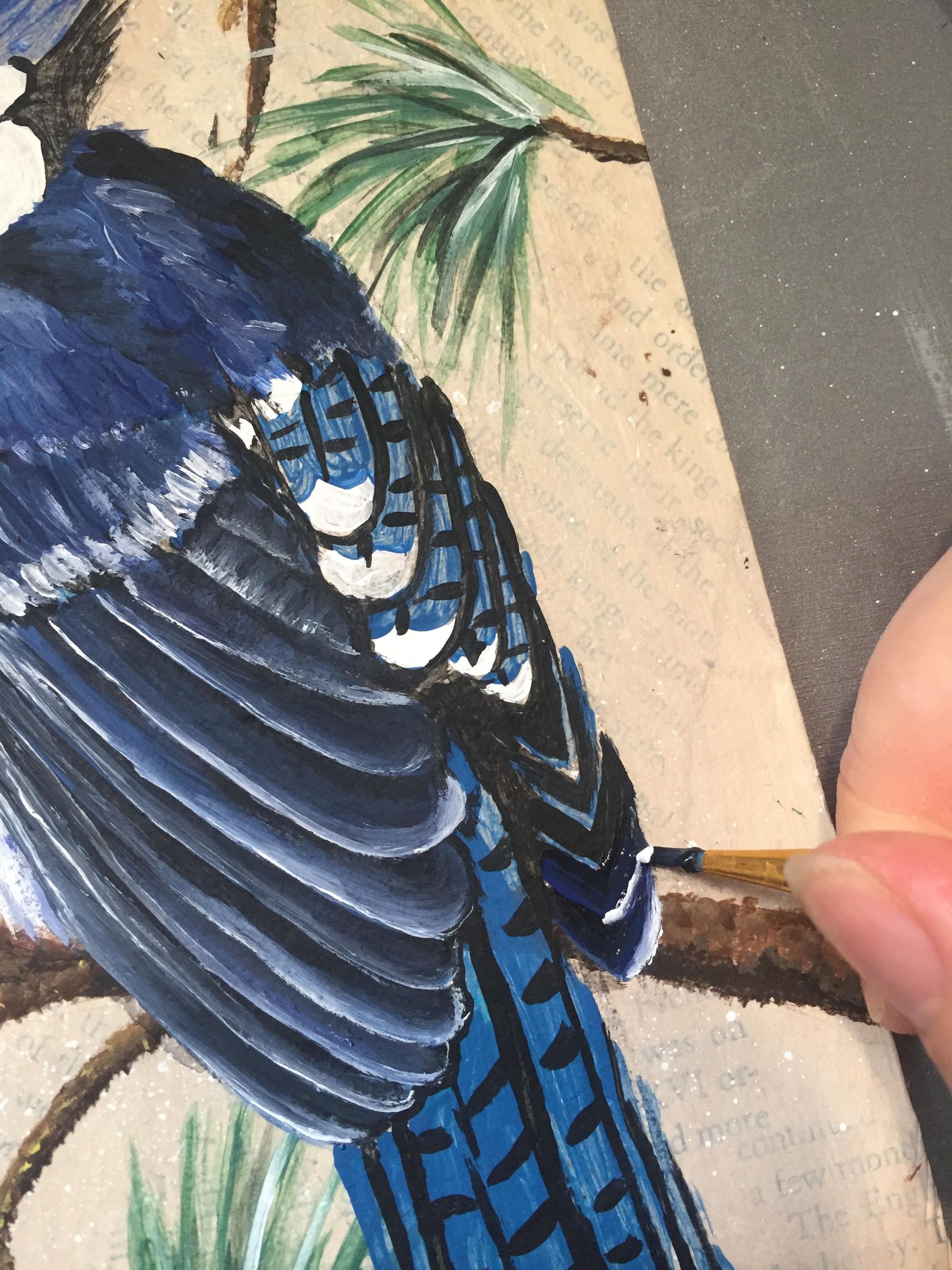 How to Paint a Blue Jay on a Branch. : 13 Steps (with Pictures ...