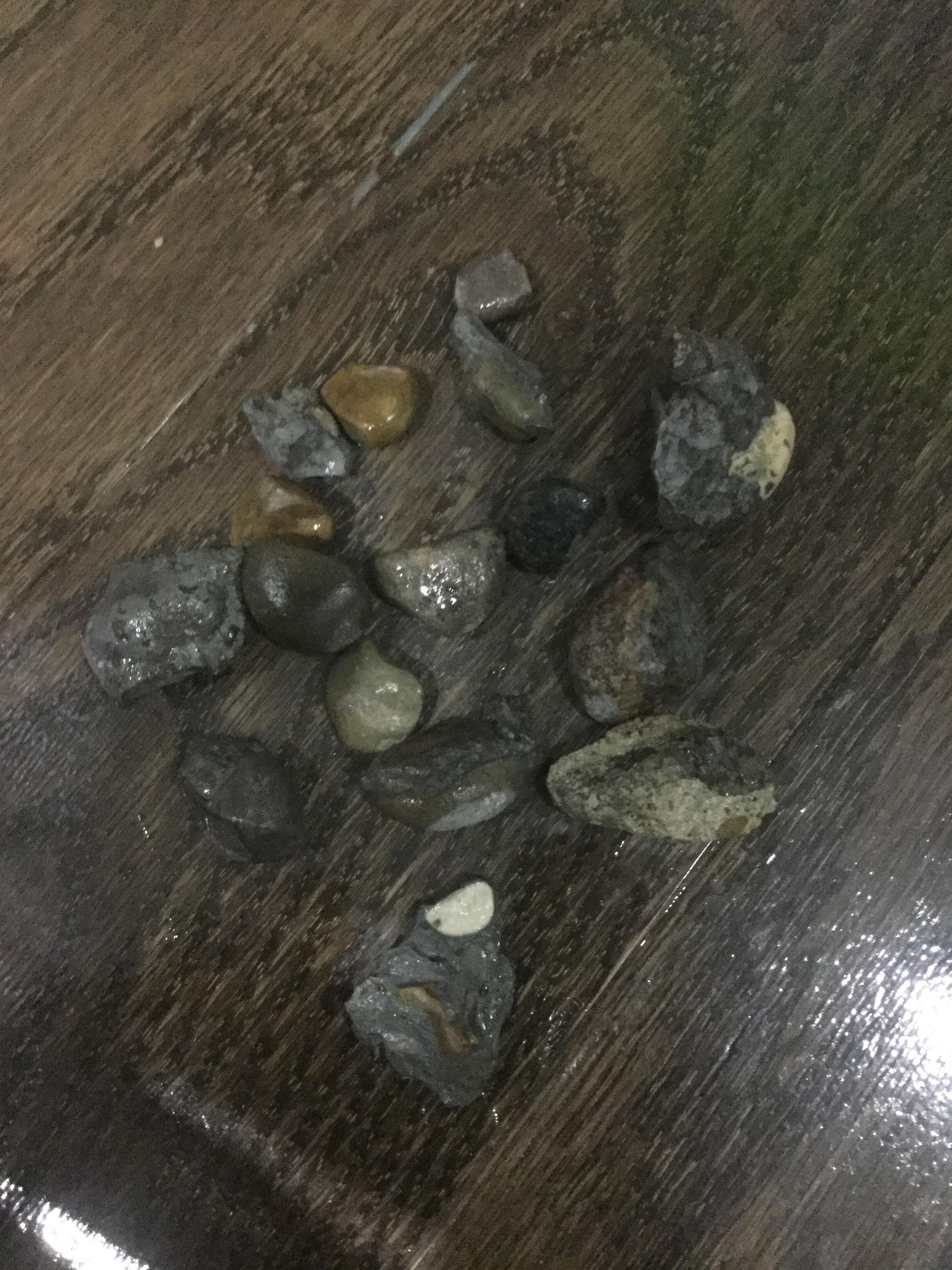 Marine Ecosystem Model With Candy! : 30 Steps - Instructables